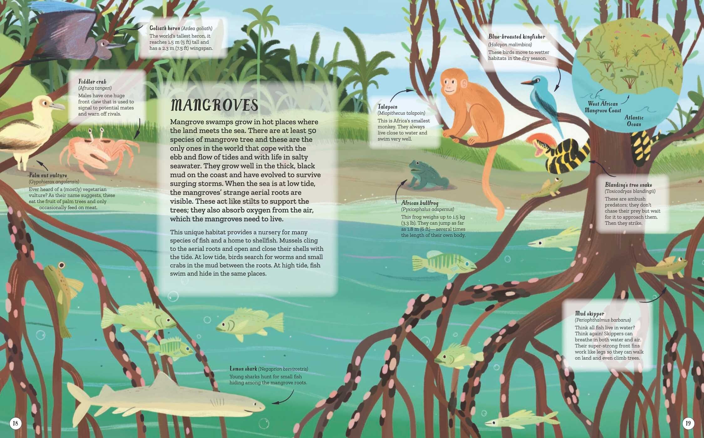 Children's Encyclopedia of Nature | Book by Michael Leach, Meriel Lland ...