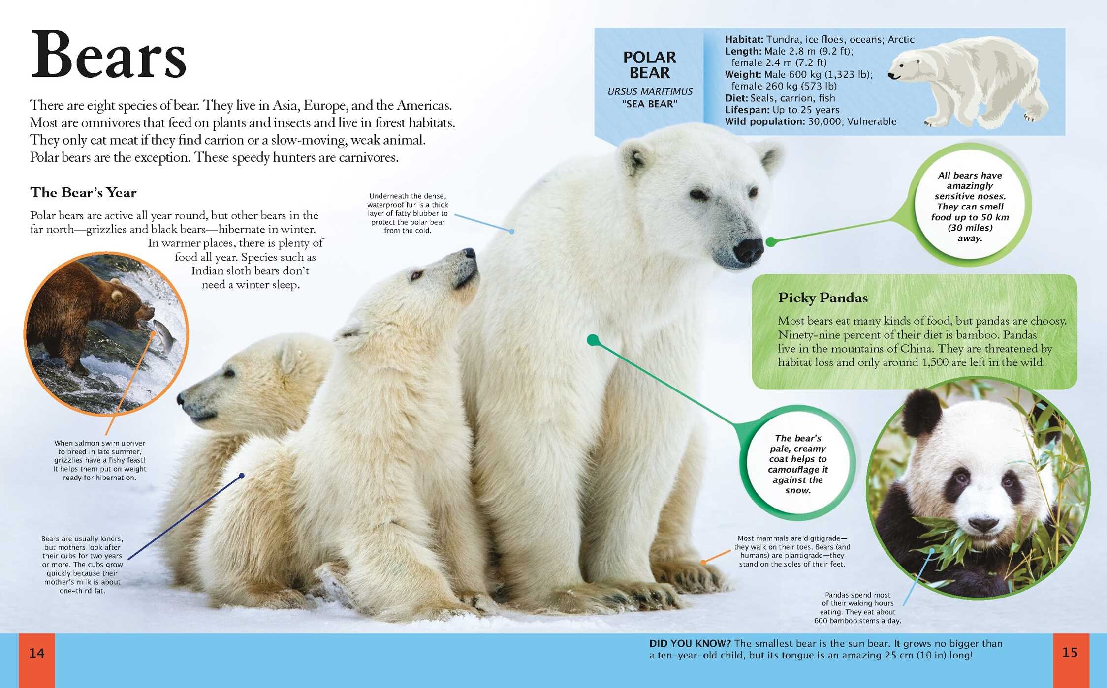 The Amazing Book of Animals | Book by Michael Leach, Meriel Lland ...
