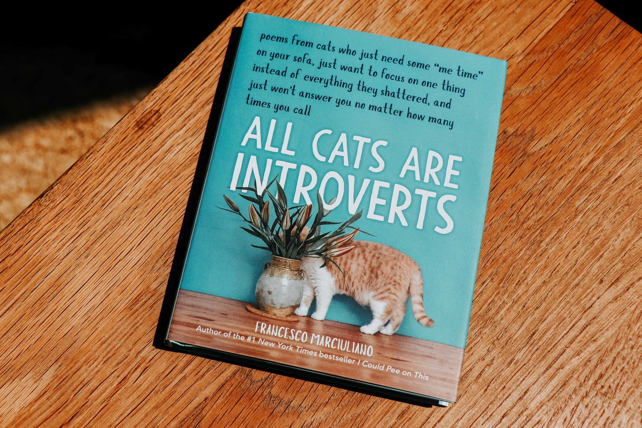 All Cats Are Introverts | Book by Francesco Marciuliano | Official ...