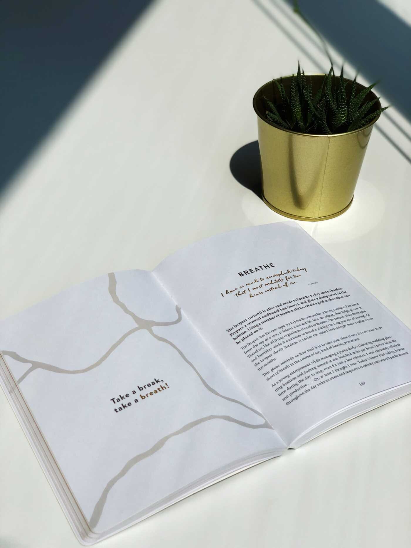 Kintsugi | Book by Céline Santini | Official Publisher Page | Simon ...
