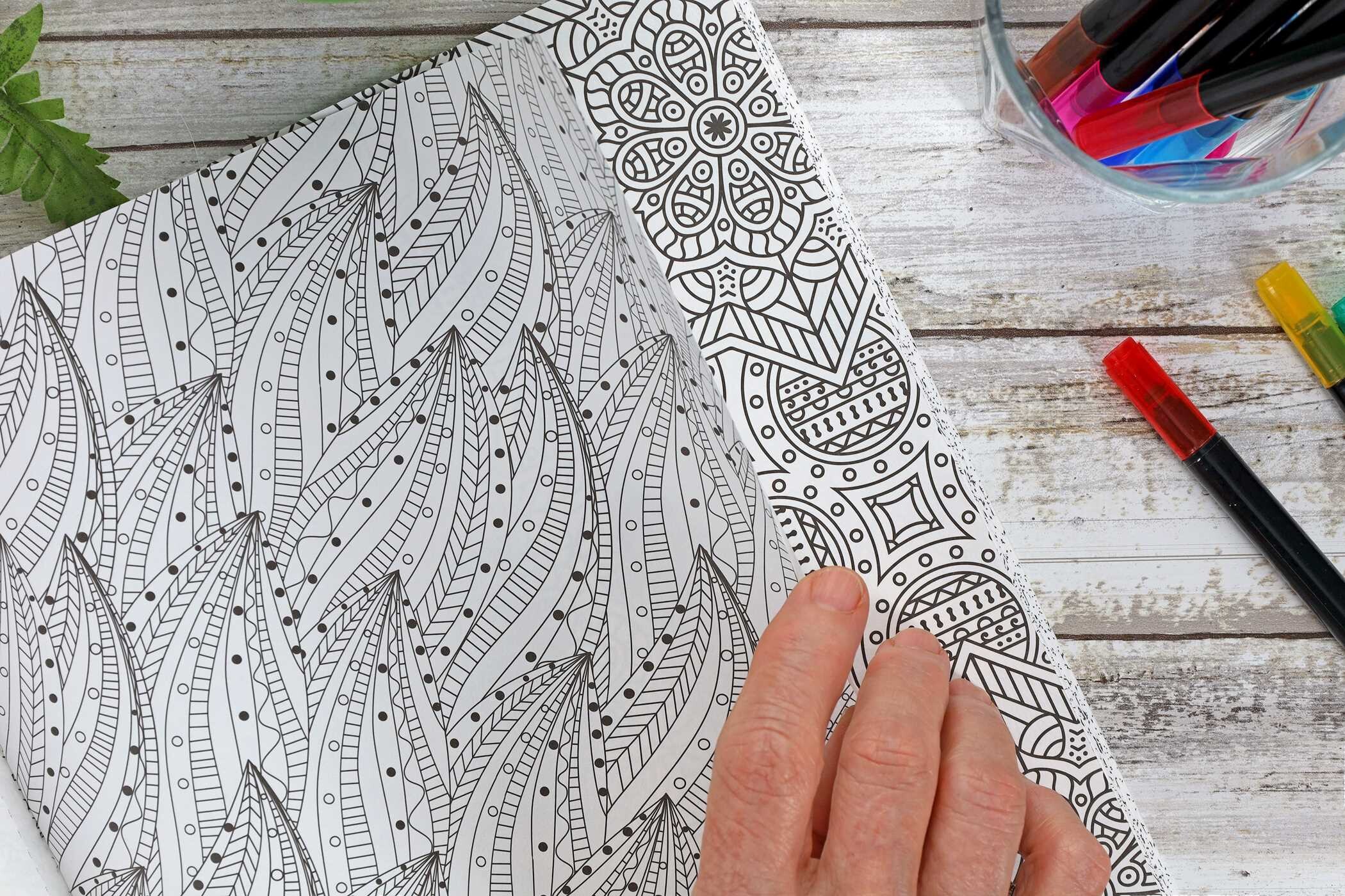 Oriental Wonders Color Art for Everyone | Book by Leisure Arts ...