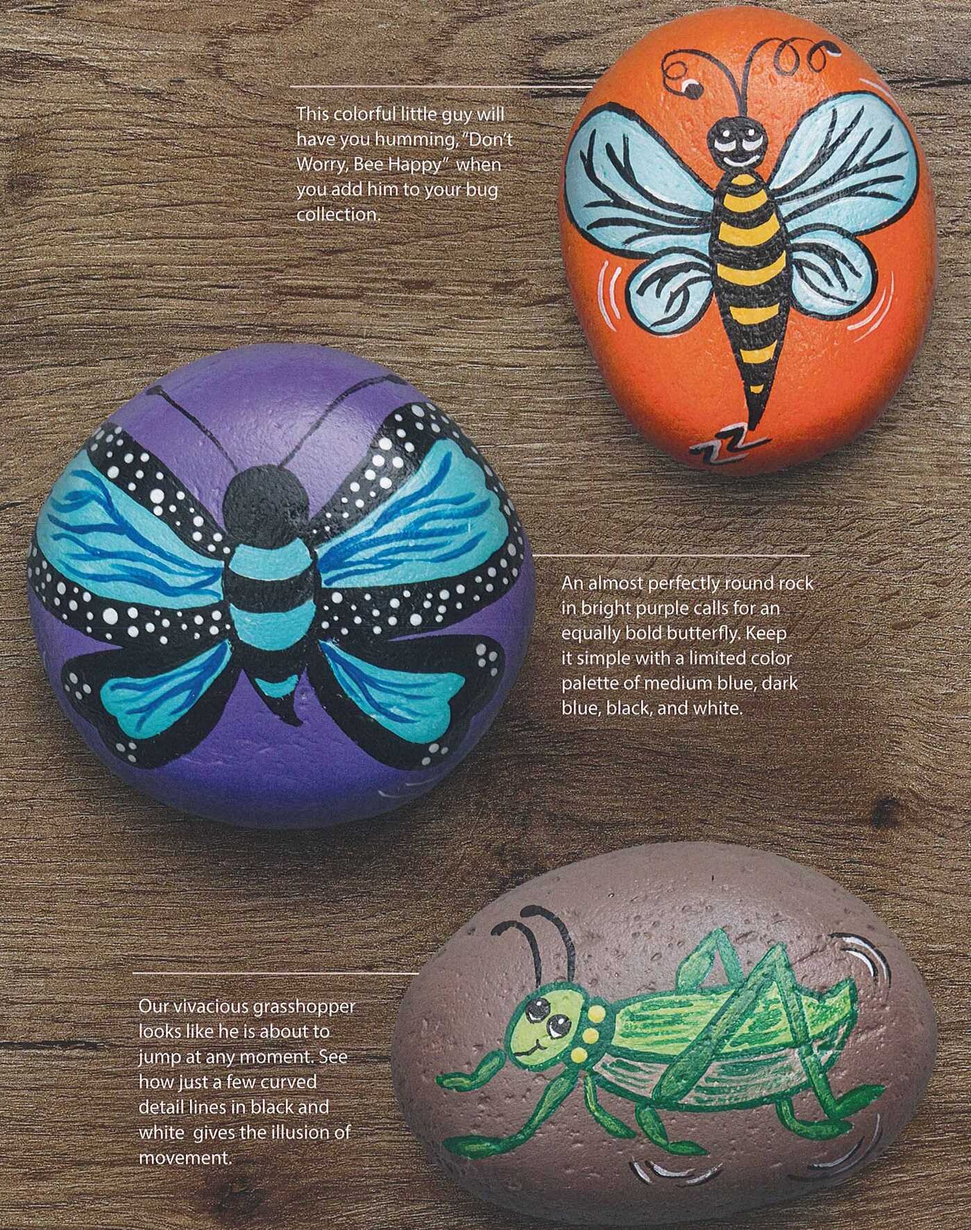 Rock Painting— 30 Creative Designs and Inspirational Techniques | Book ...