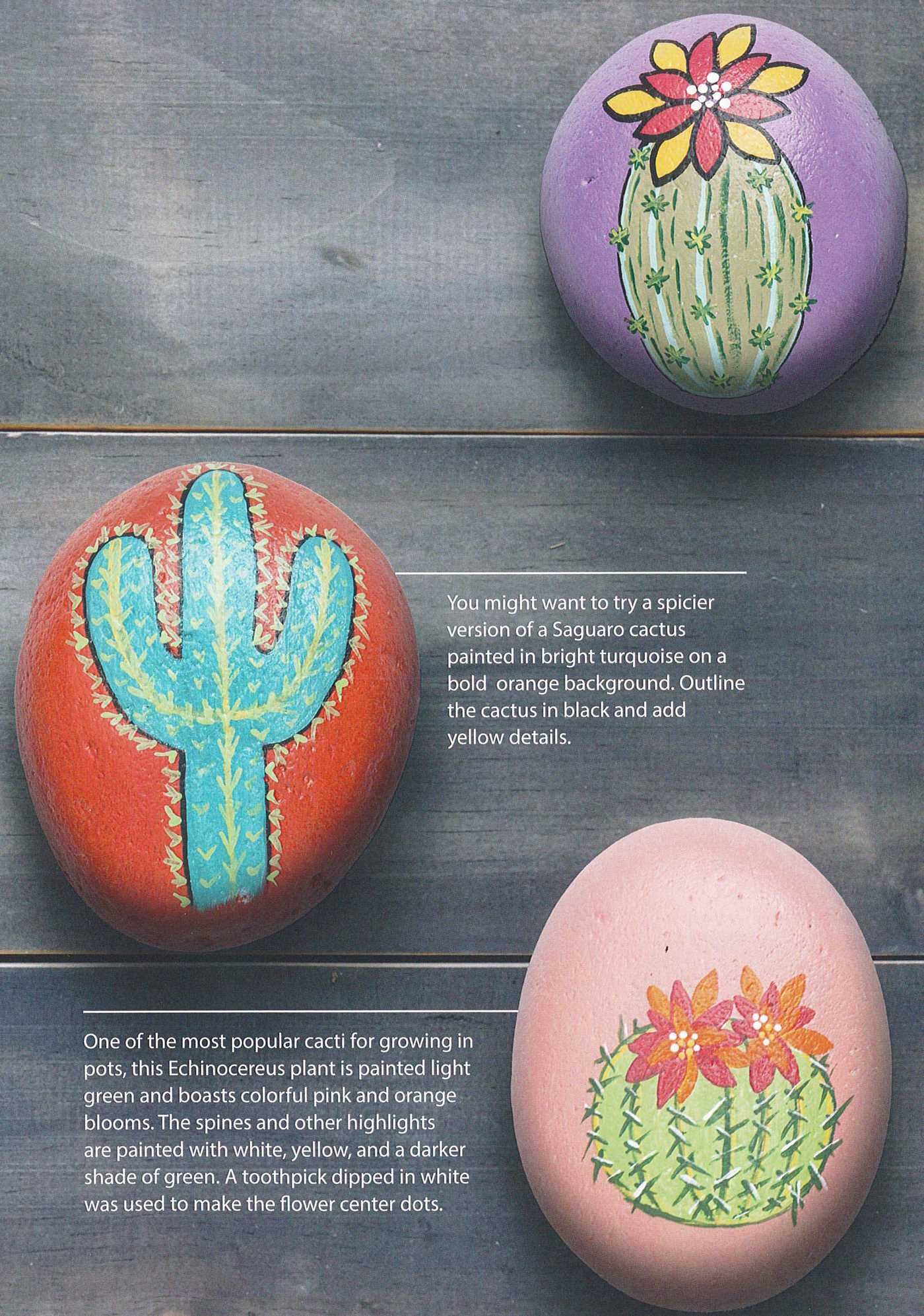 Rock Painting— 30 Creative Designs and Inspirational Techniques | Book ...