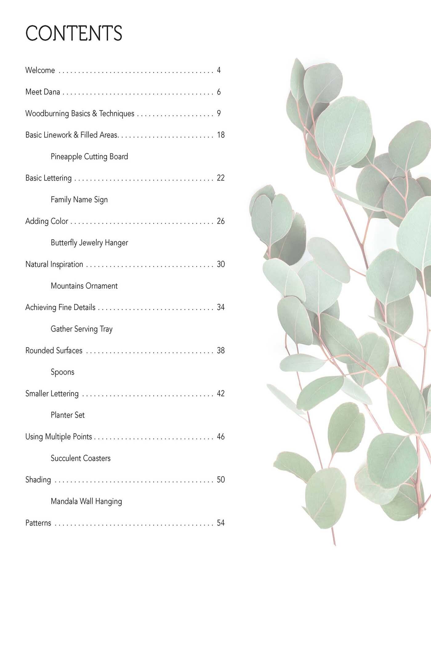 Modern Woodburning | Book by Dana Hoover | Official Publisher Page ...