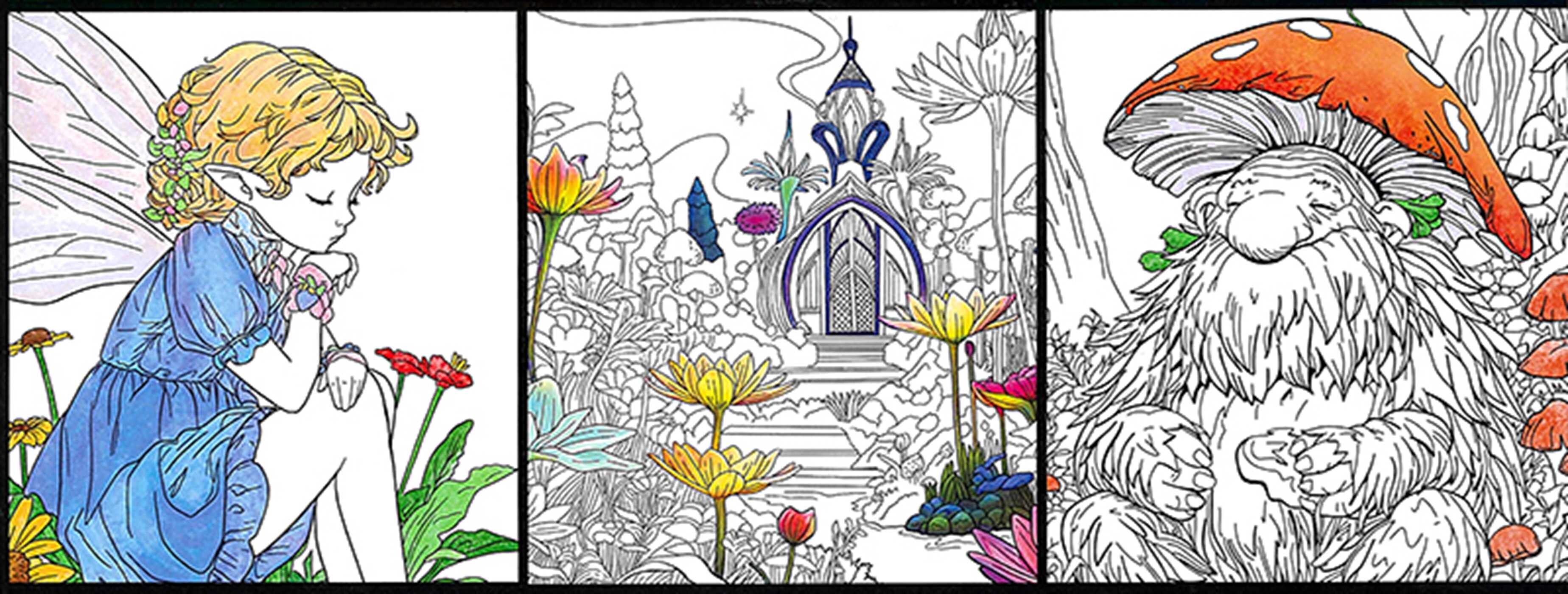 Enchanted Gardens—36 Magical Fantasy Designs for Adult Coloring | Book ...