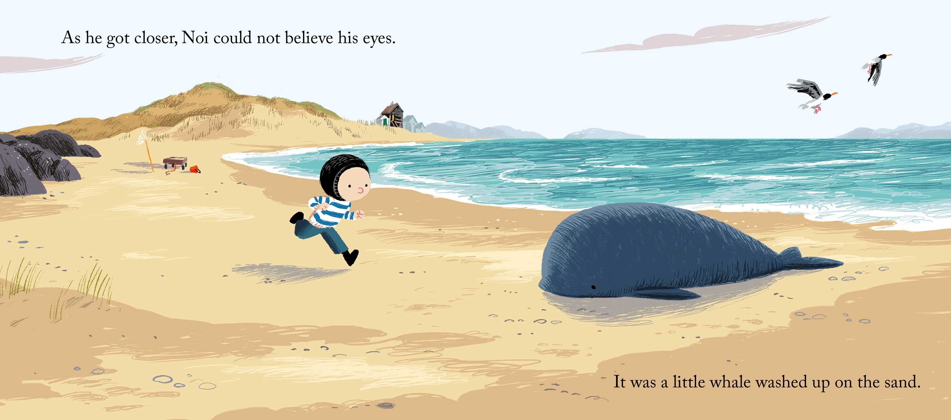 The Storm Whale | Book by Benji Davies | Official Publisher Page ...
