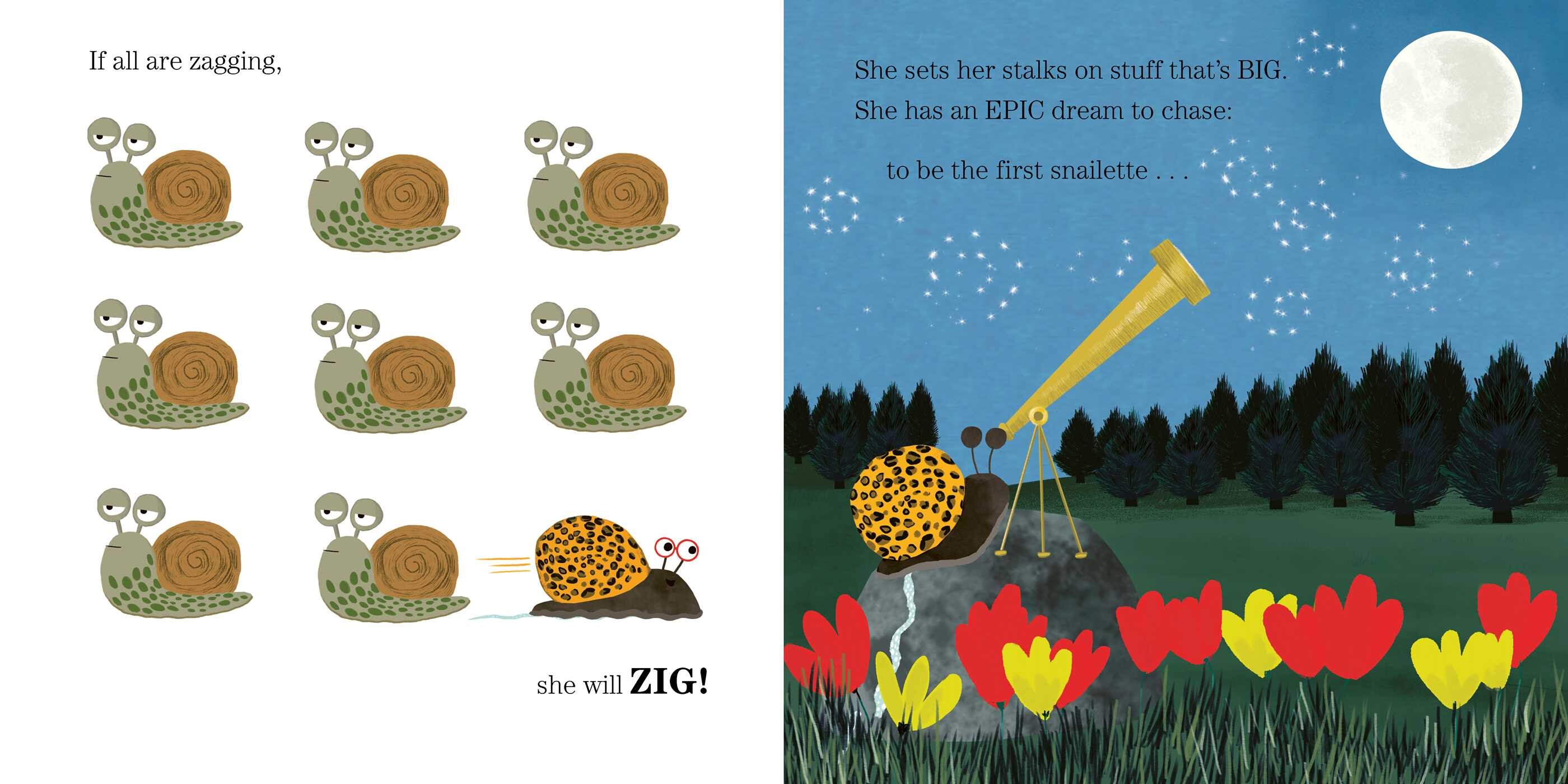 Snail in Space | Book by Rachel Bright, Nadia Shireen | Official ...