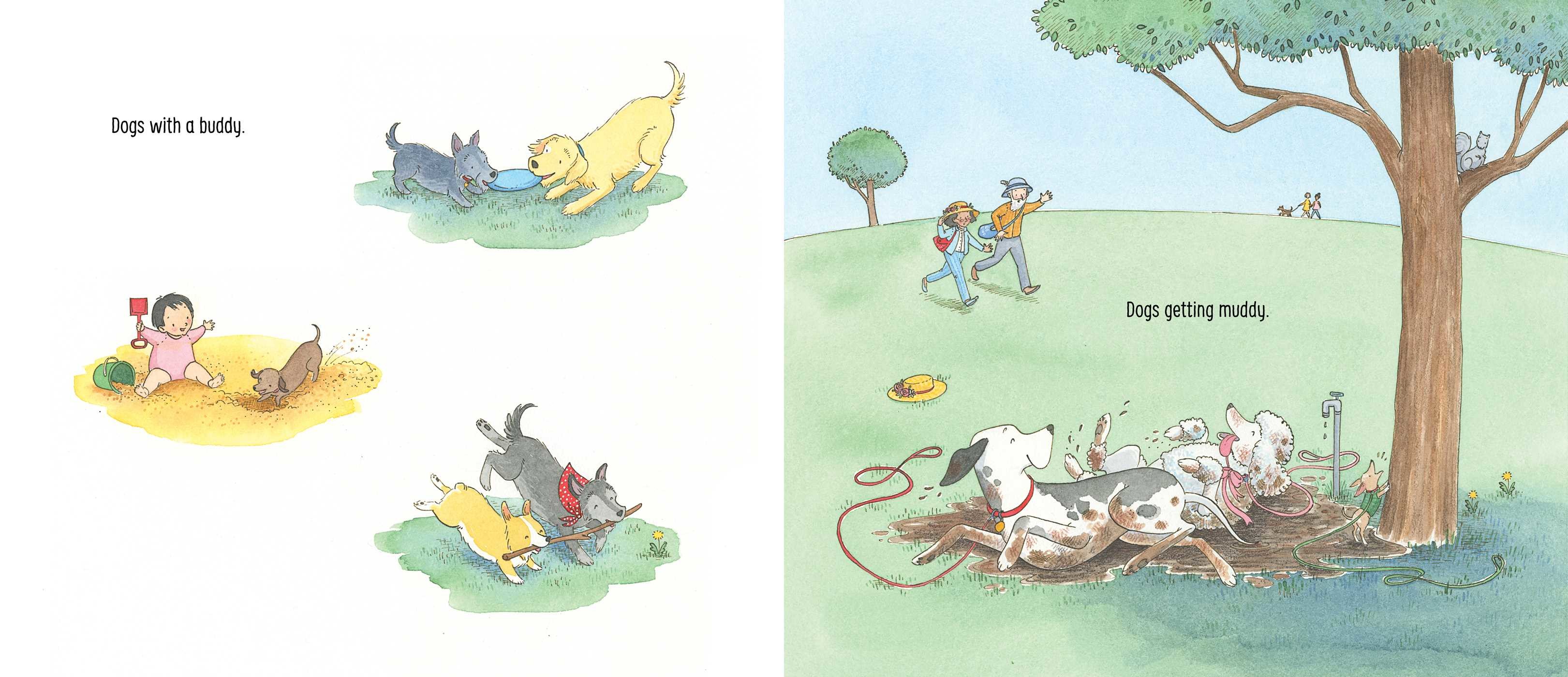 Bark Park! | Book by Trudy Krisher, Brooke Boynton-Hughes | Official ...