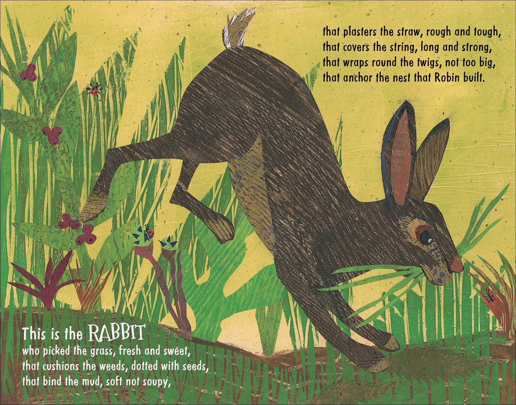 This Is the Nest That Robin Built | Book by Denise Fleming | Official ...