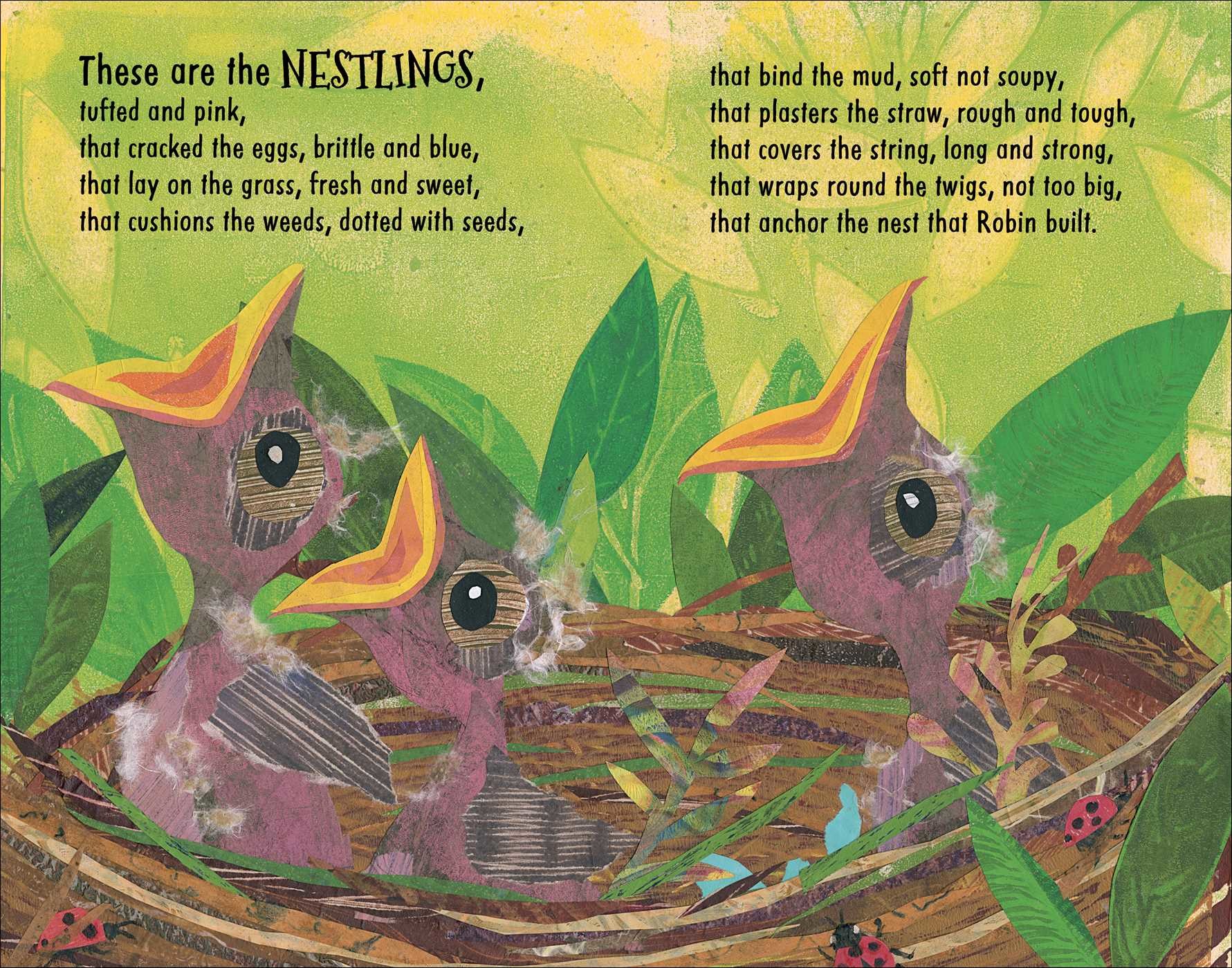 This Is the Nest That Robin Built | Book by Denise Fleming | Official ...