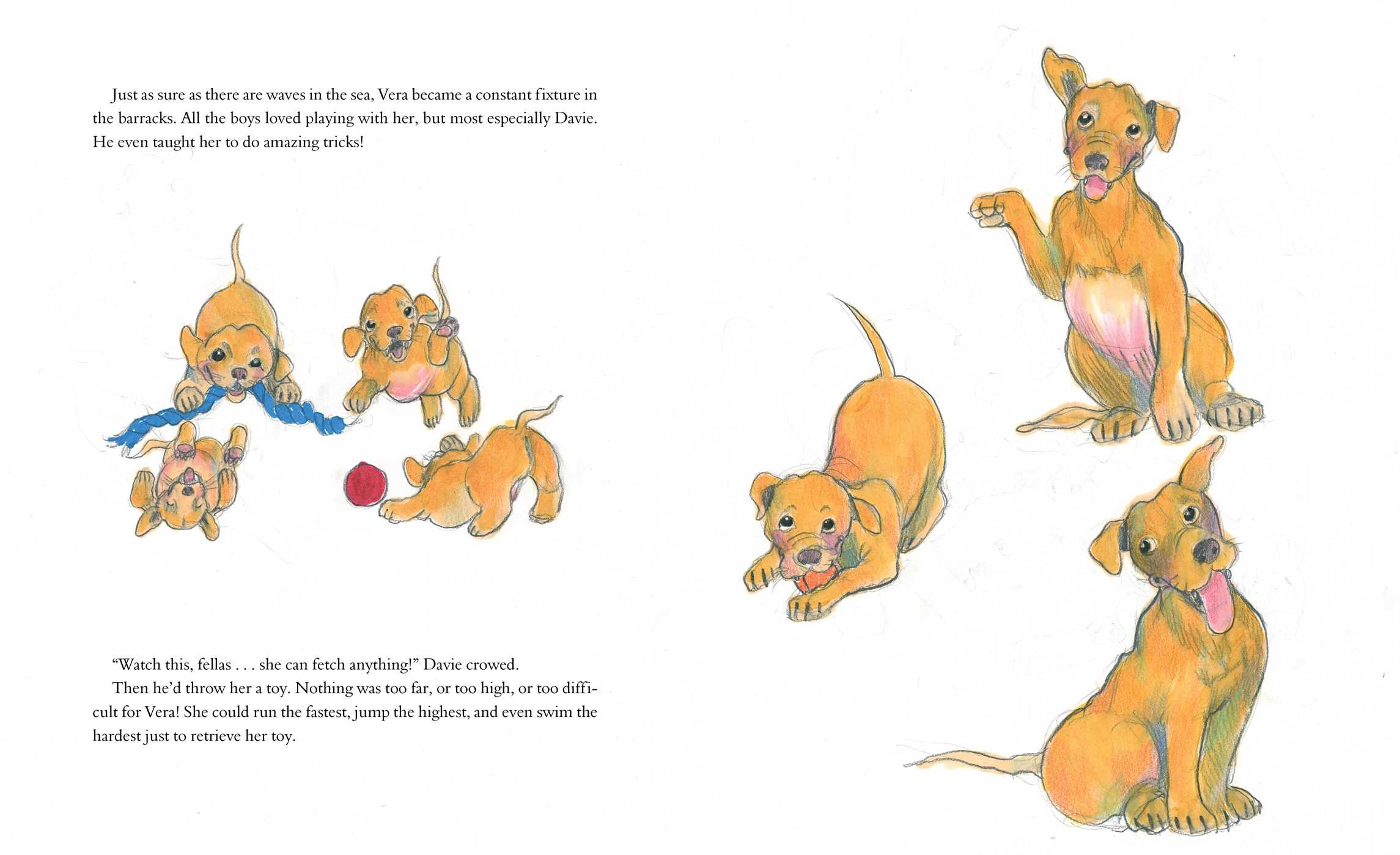 Remembering Vera | Book by Patricia Polacco | Official Publisher Page ...