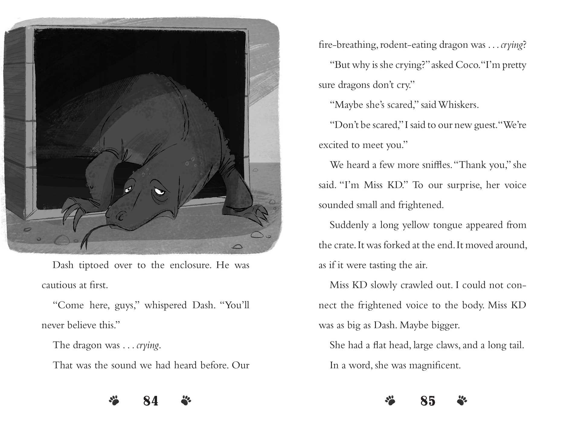 A Furry Fiasco | Book by Paul DuBois Jacobs, Jennifer Swender ...