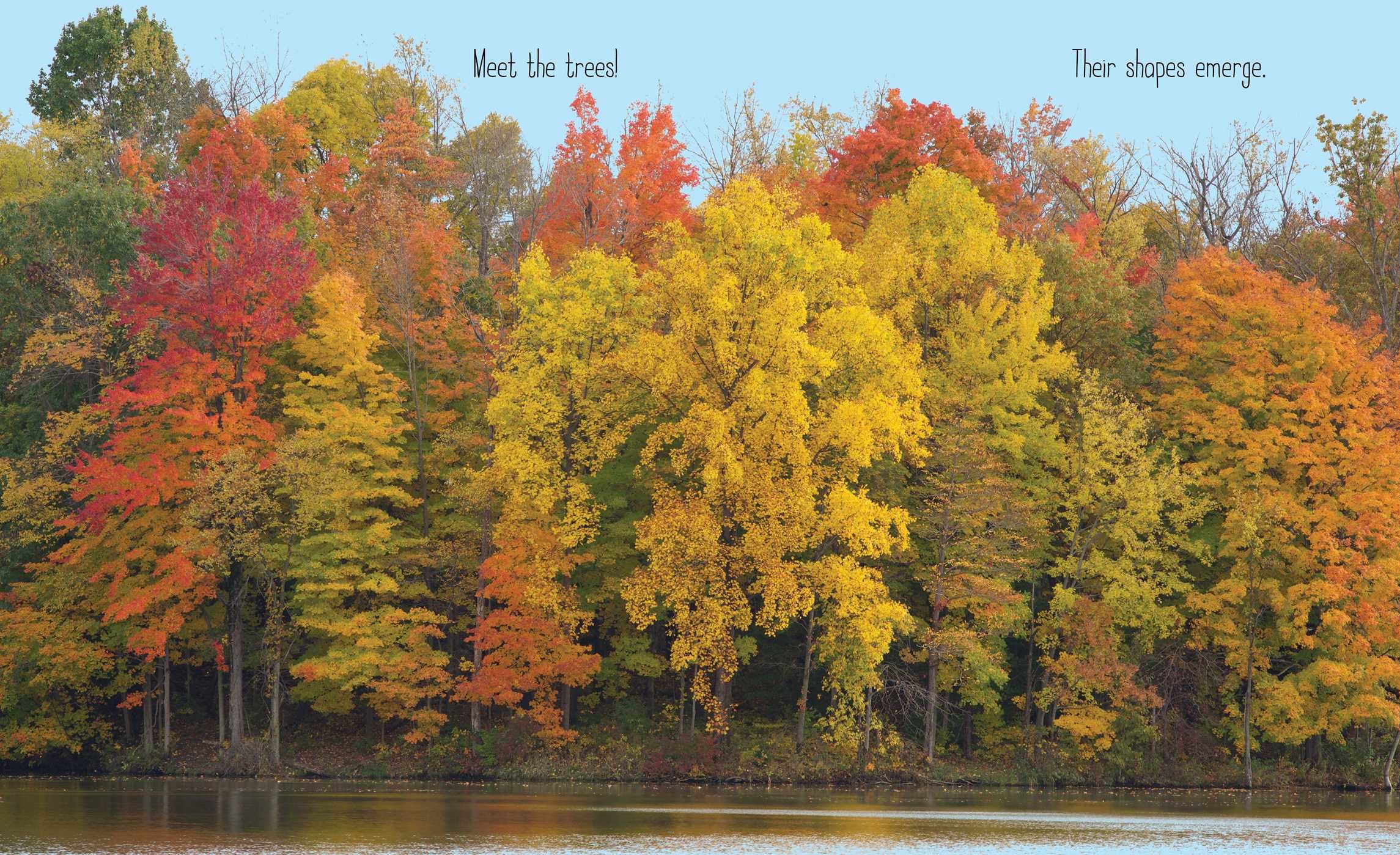 Full of Fall | Book by April Pulley Sayre | Official Publisher Page ...