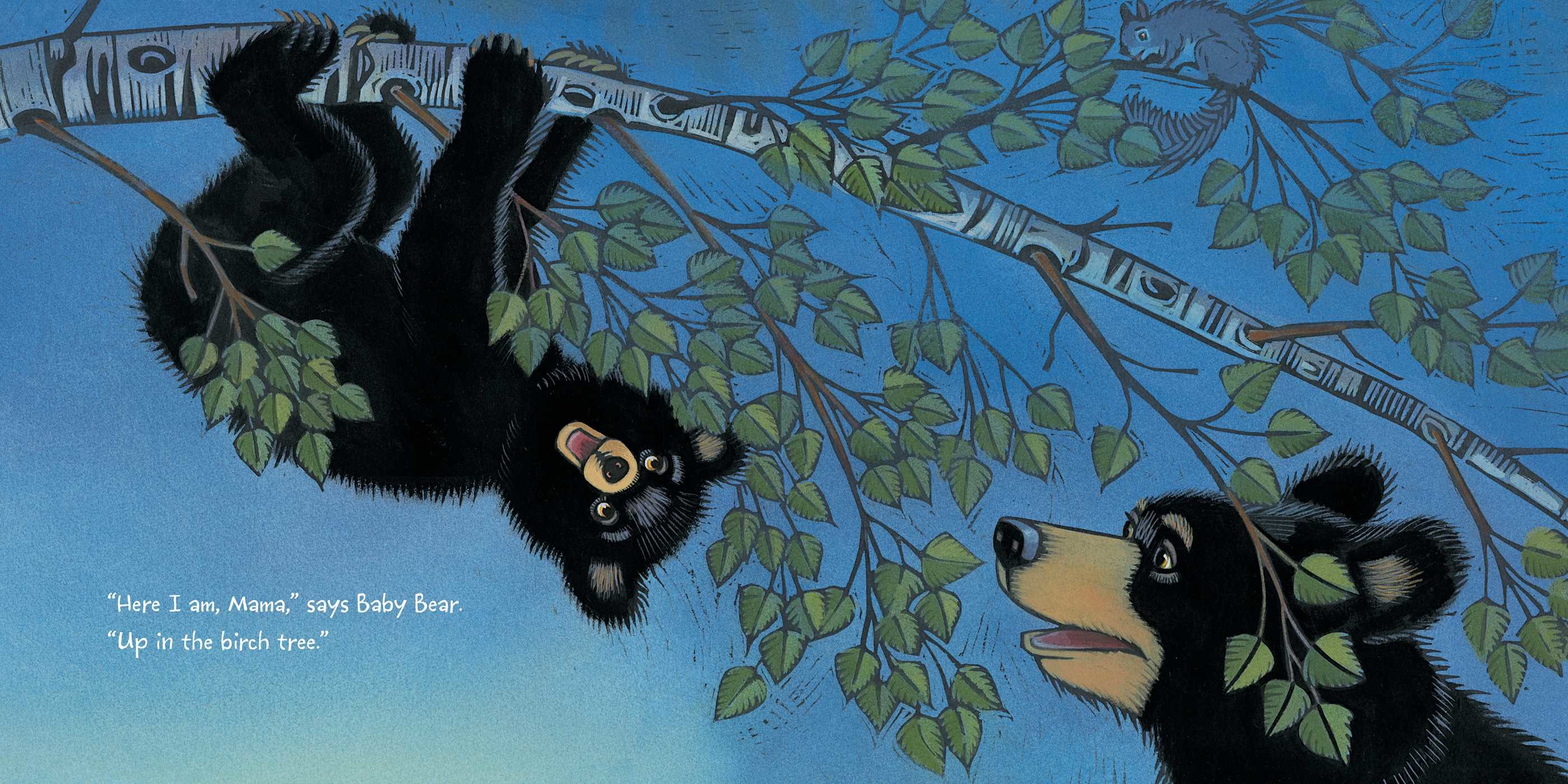 Where, Oh Where, Is Baby Bear? | Book by Ashley Wolff | Official ...