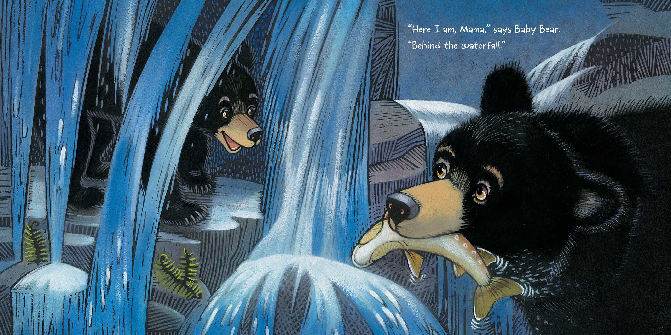 Where, Oh Where, Is Baby Bear? | Book by Ashley Wolff | Official ...