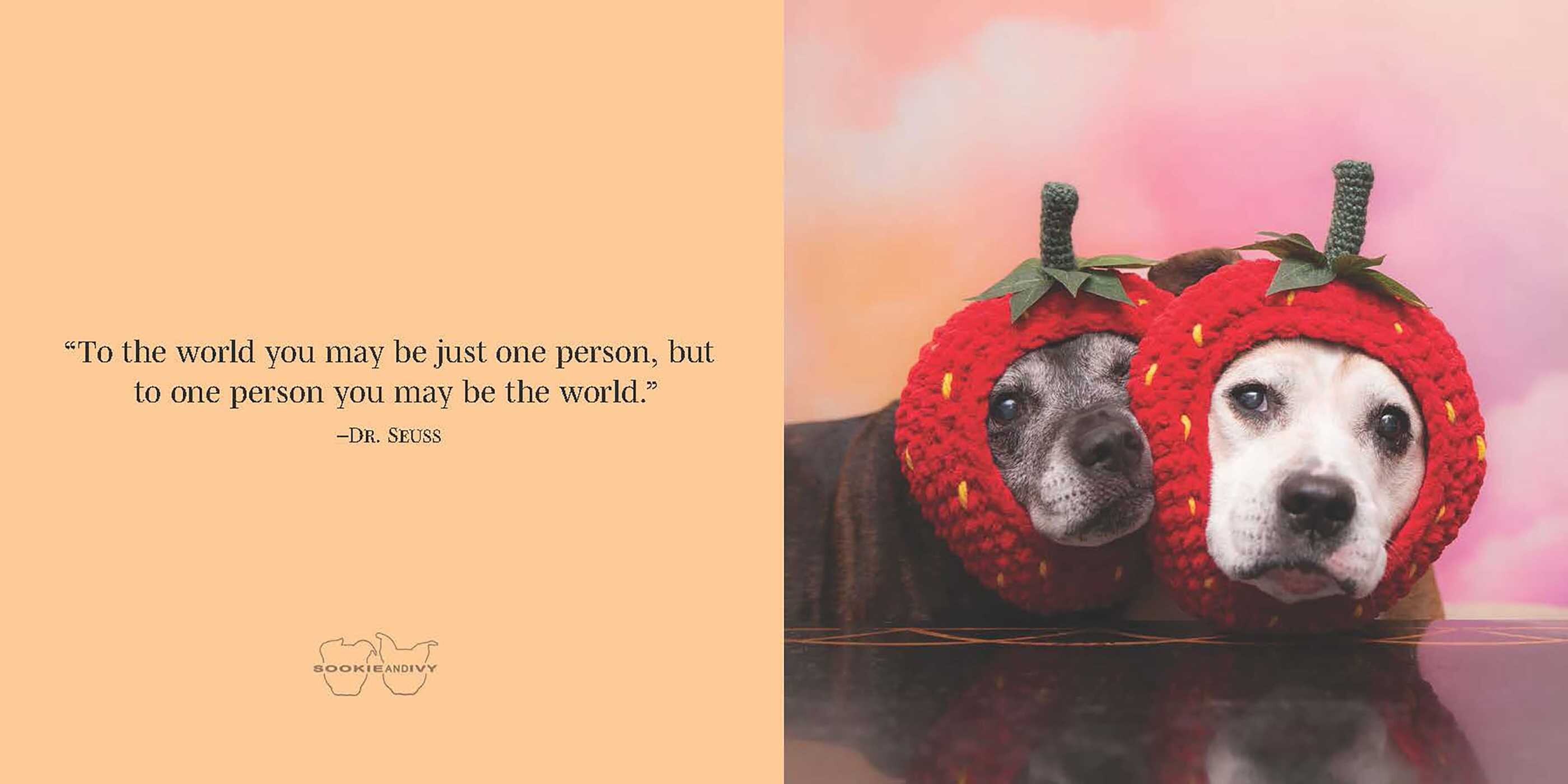 Sookie and Ivy Friends Forever! | Book by Jani Oja | Official Publisher ...