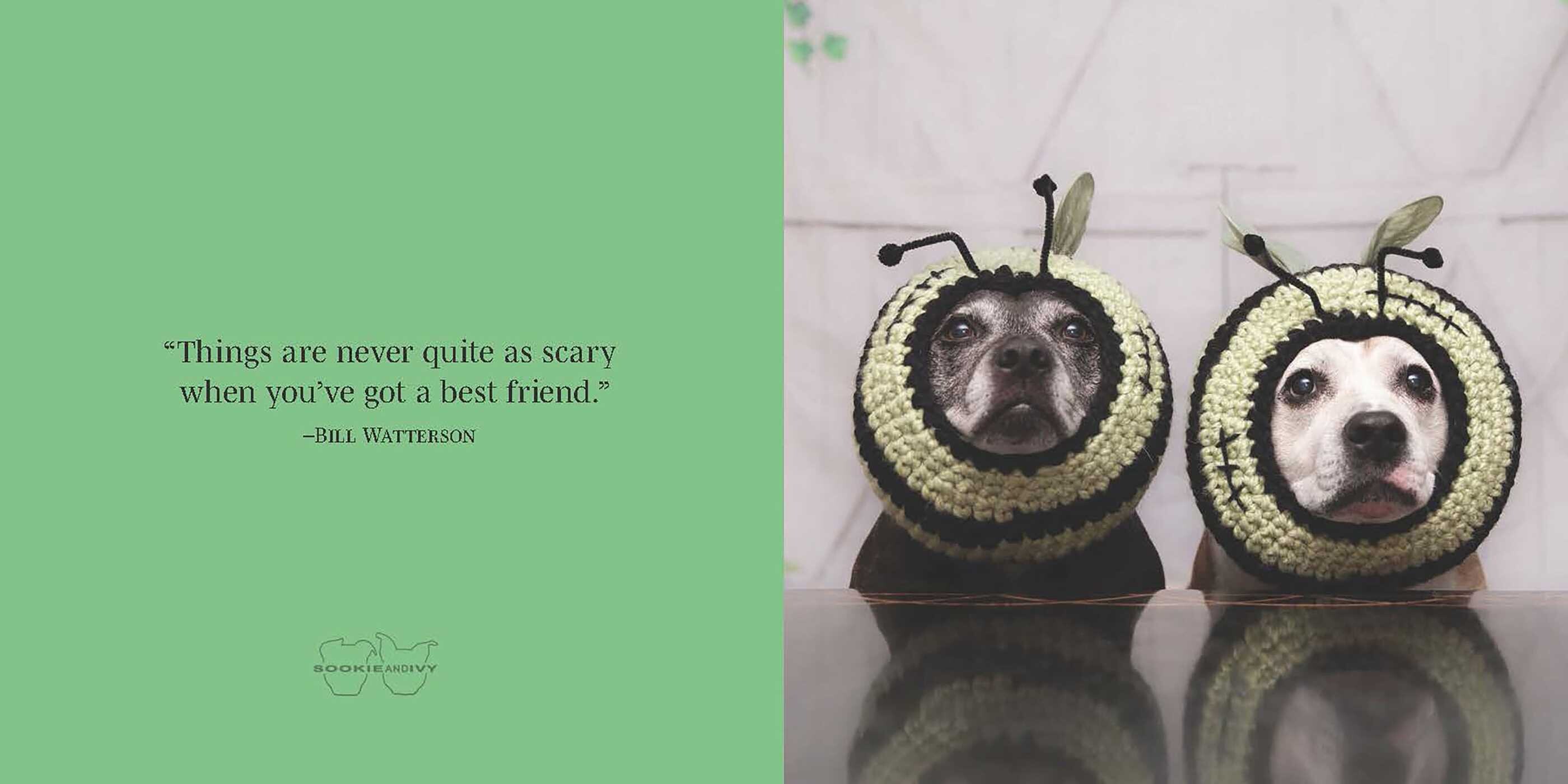 Sookie and Ivy Friends Forever! | Book by Jani Oja | Official Publisher ...