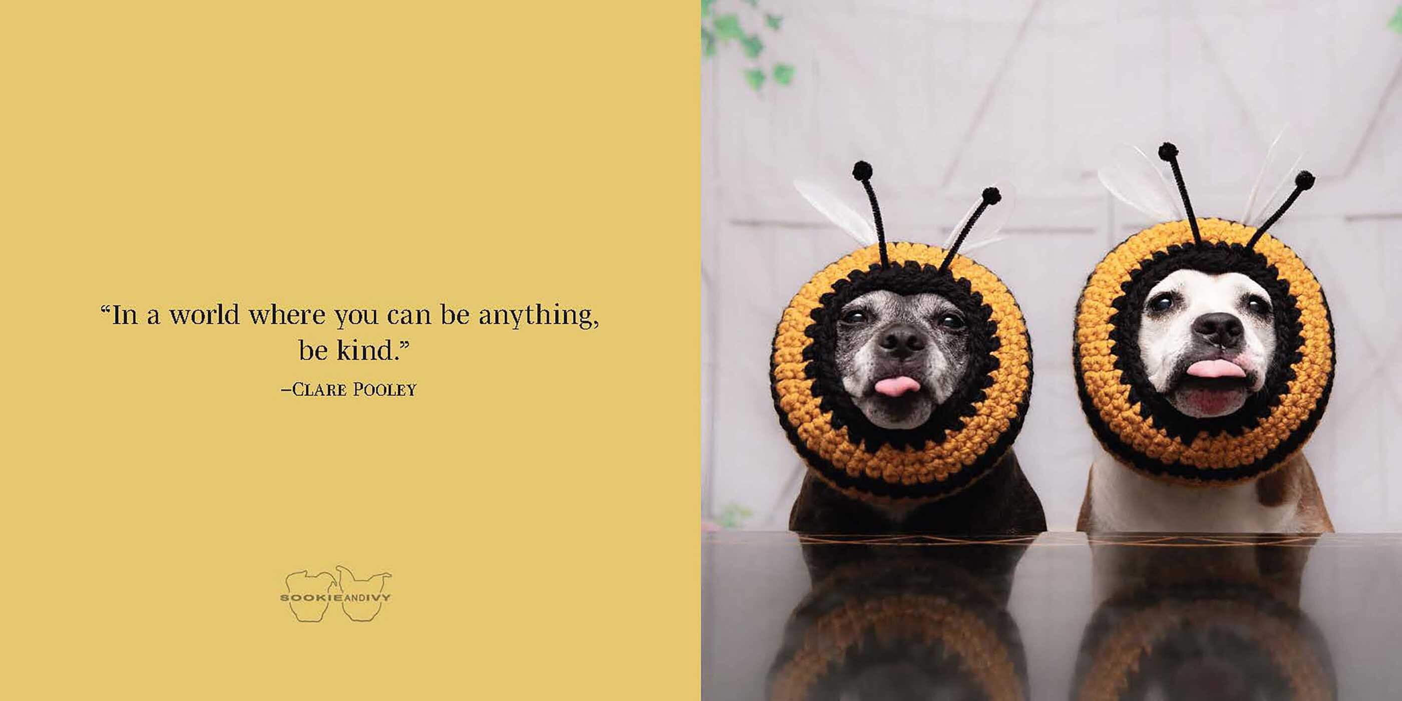 Sookie and Ivy Every Day Is a Celebration | Book by Jani Oja | Official ...