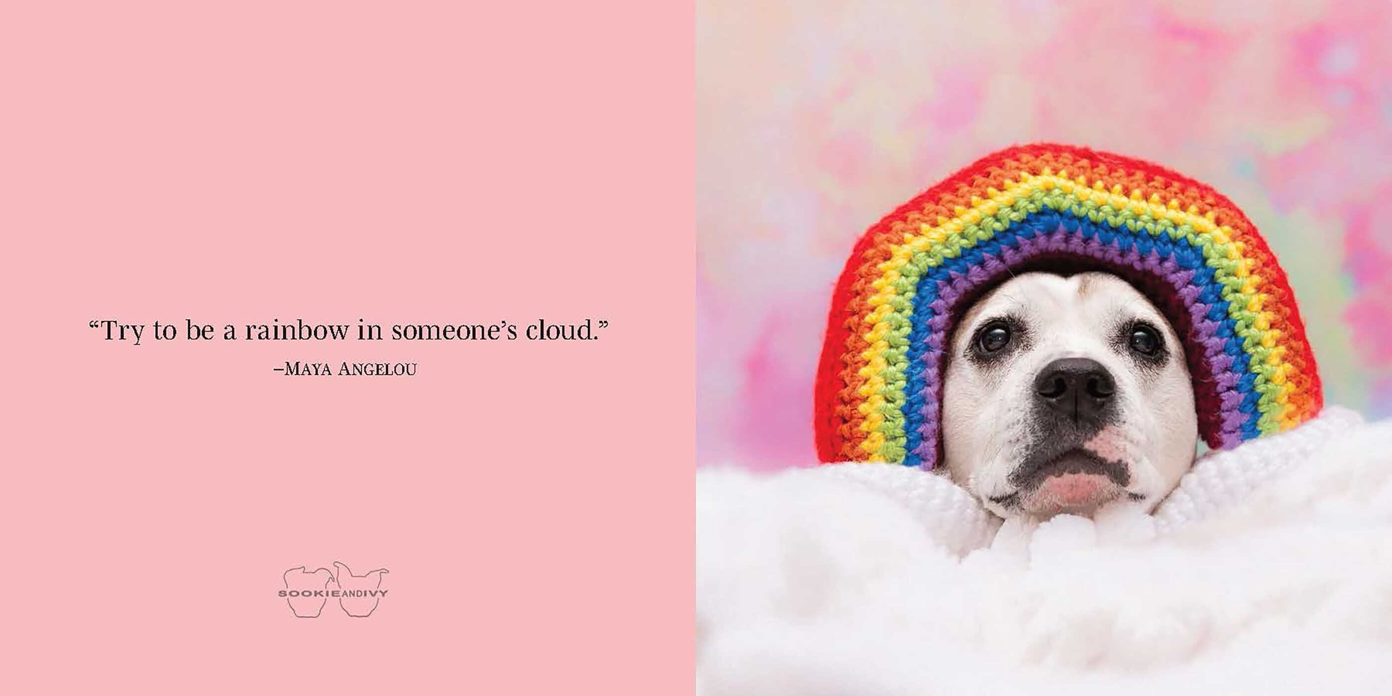 Sookie and Ivy Every Day Is a Celebration | Book by Jani Oja | Official ...