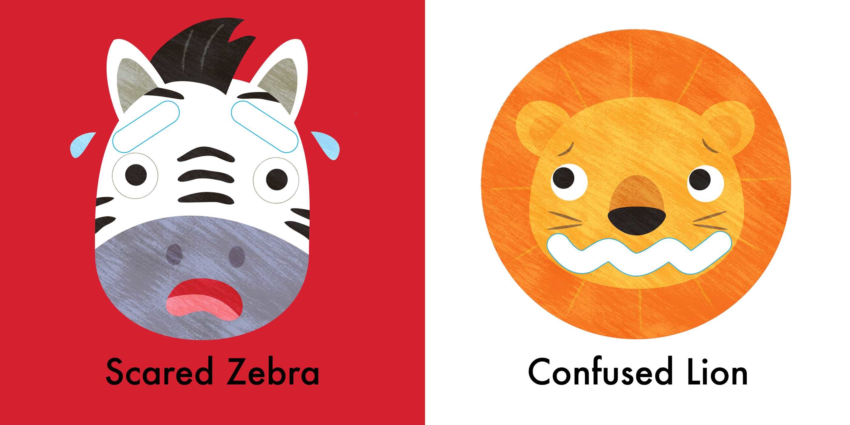 Follow Me: Animal Faces | Book by Fhiona Galloway | Official Publisher ...