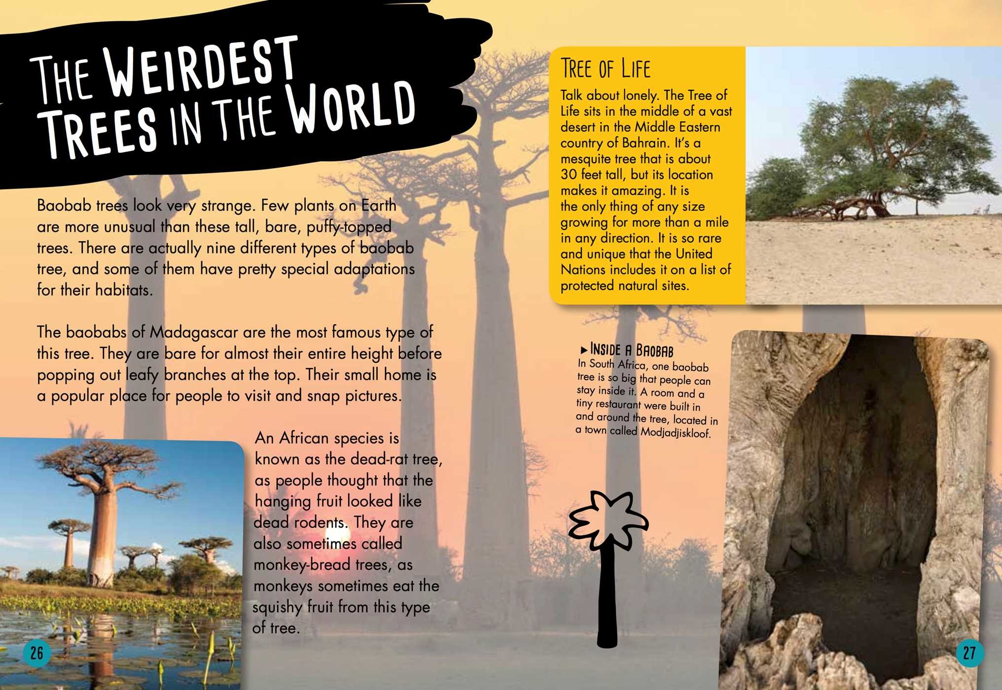 Listopia: Planet Earth | Book by James Buckley Jr., Diane Bailey ...