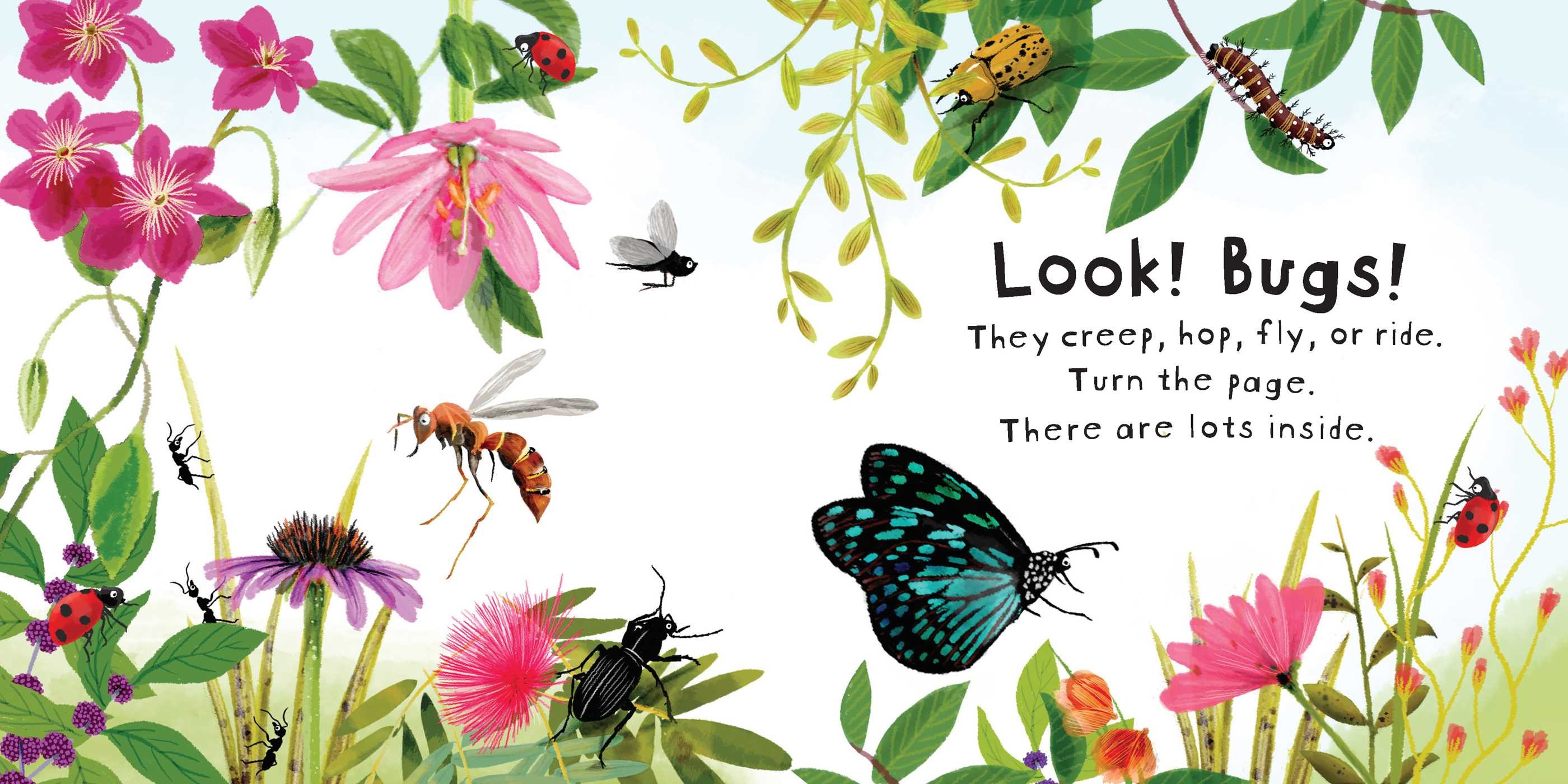 Look! Bugs! | Book by Stephanie Calmenson, Jane Newland | Official ...