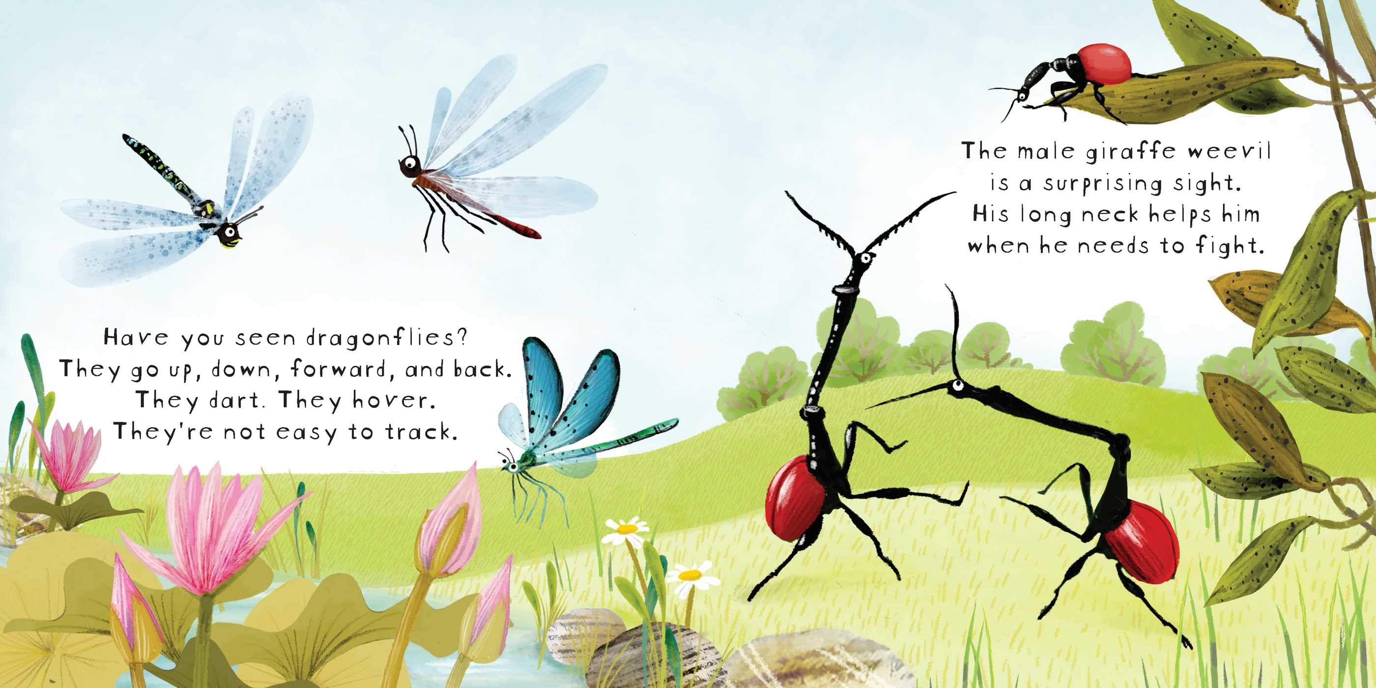Look! Bugs! | Book by Stephanie Calmenson, Jane Newland | Official ...