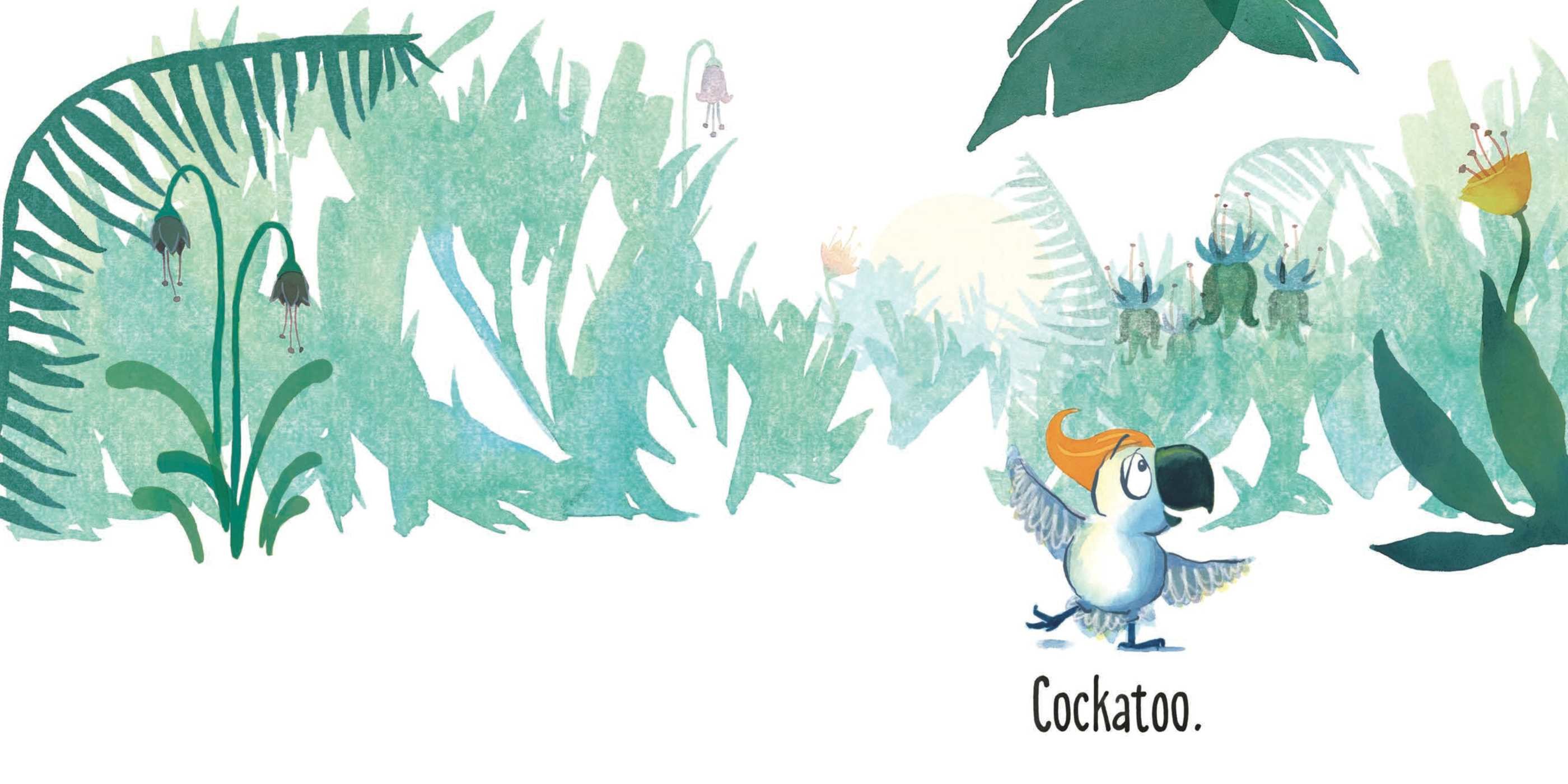 Cockatoo, Too | Book by Bethanie Deeney Murguia, Bethanie Deeney ...