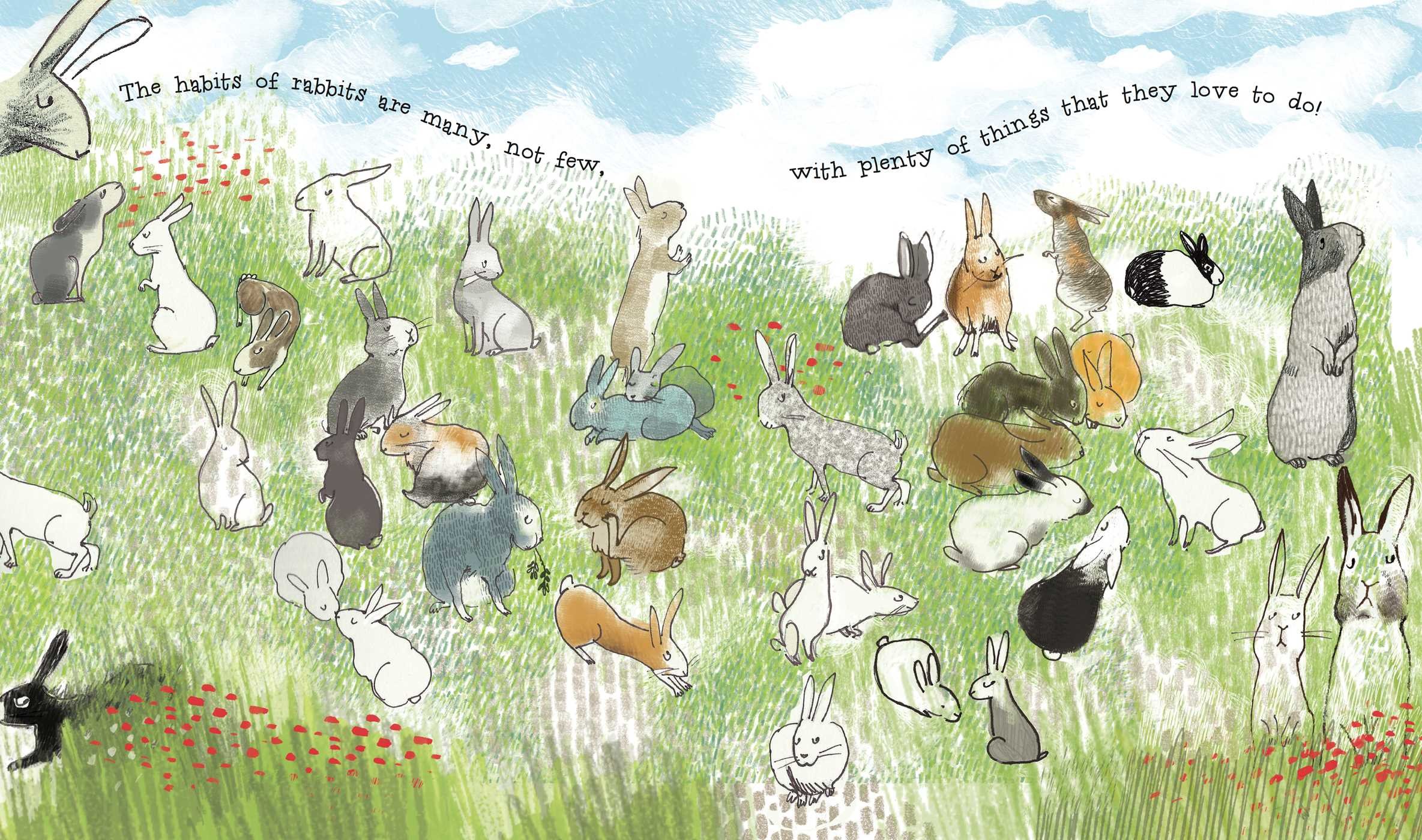 The Wonderful Habits of Rabbits | Book by Douglas Florian, Sonia ...