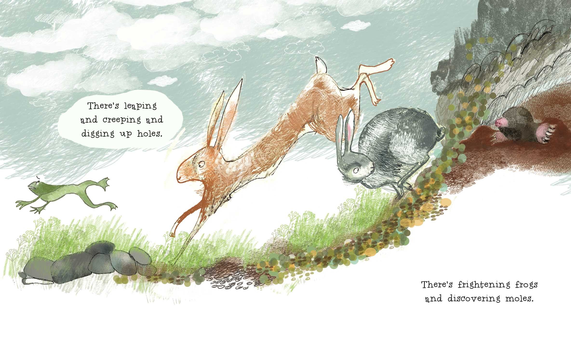 The Wonderful Habits of Rabbits | Book by Douglas Florian, Sonia ...