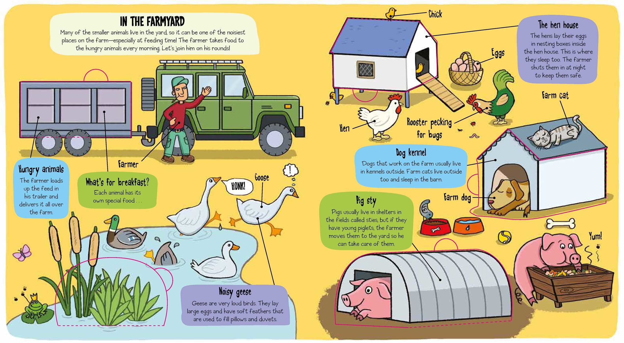 Little Explorers: The Farm | Book by Little Bee Books | Official ...