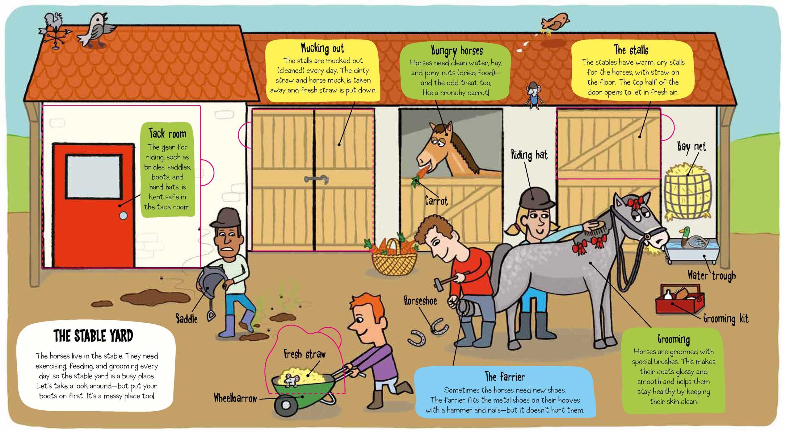 Little Explorers: The Farm | Book by Little Bee Books | Official ...