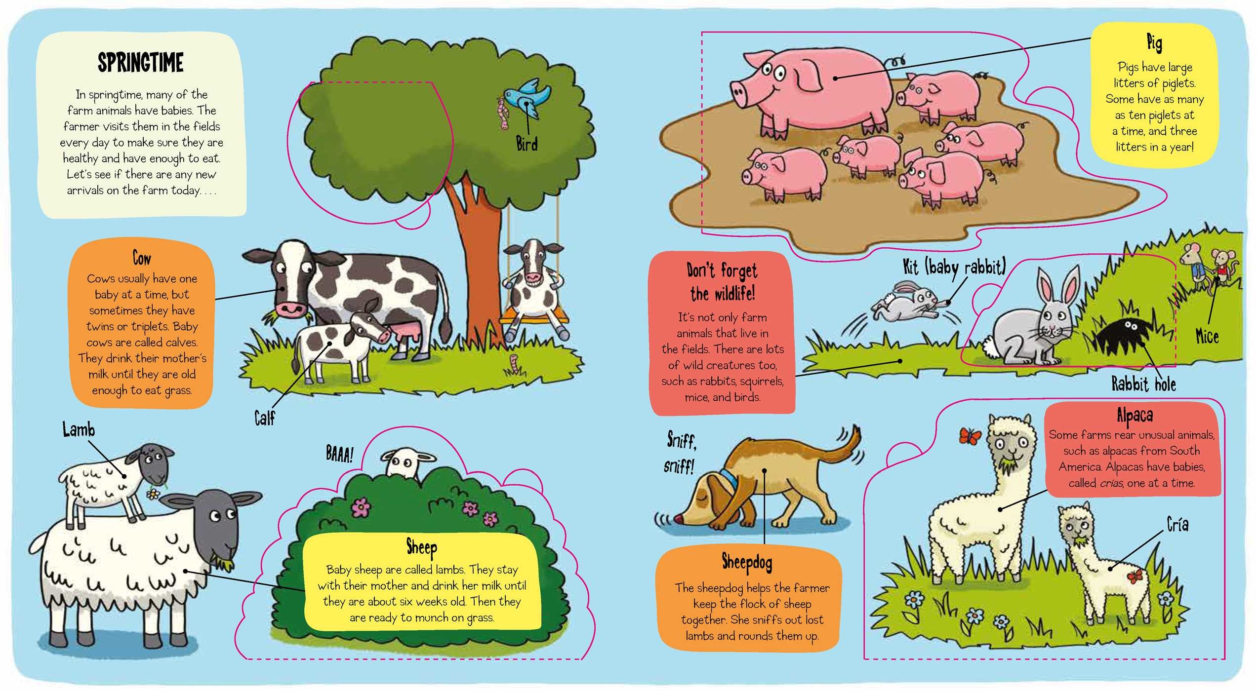 Little Explorers: The Farm | Book by Little Bee Books | Official ...