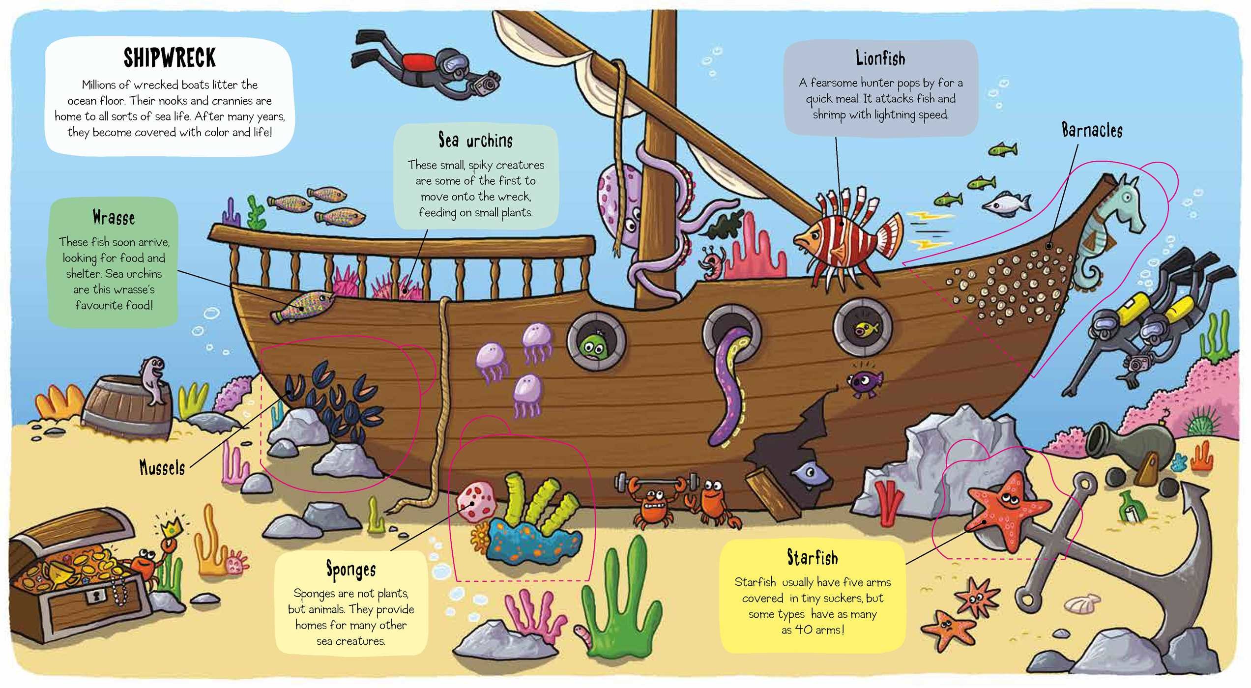 Little Explorers: Under the Sea | Book by Little Bee Books | Official ...