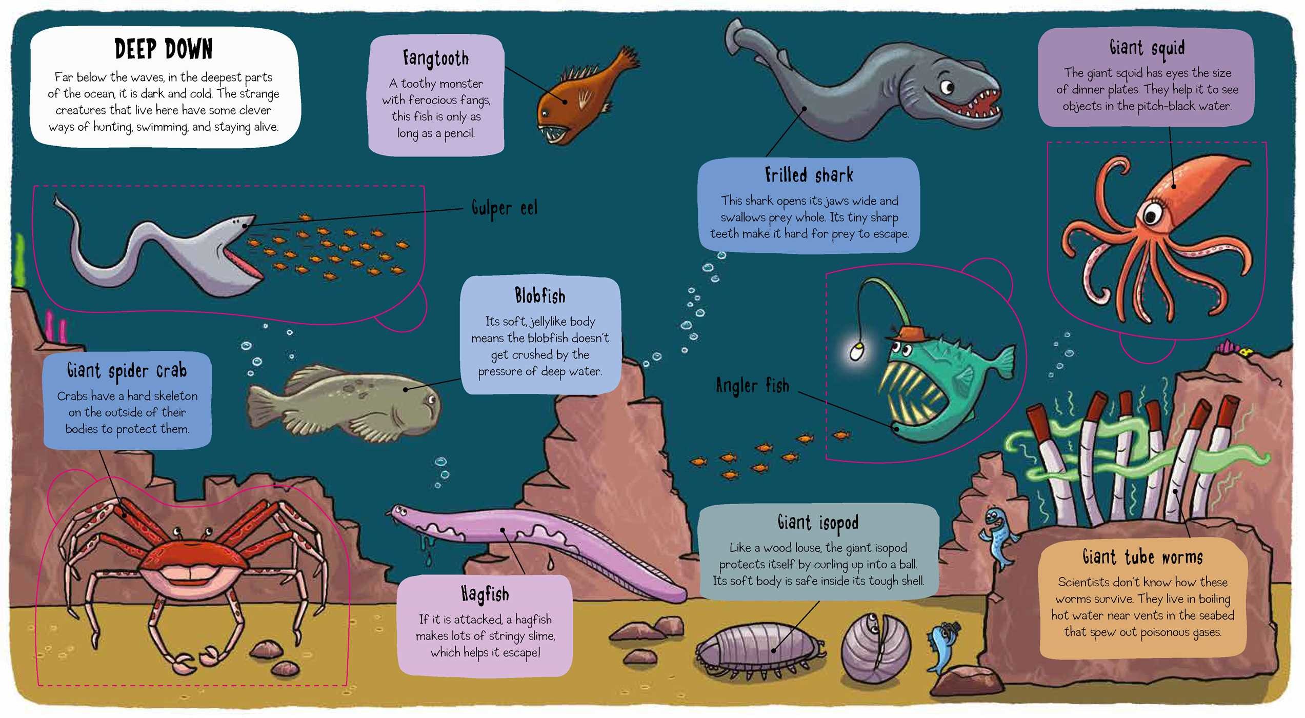 Little Explorers: Under the Sea | Book by Little Bee Books | Official ...