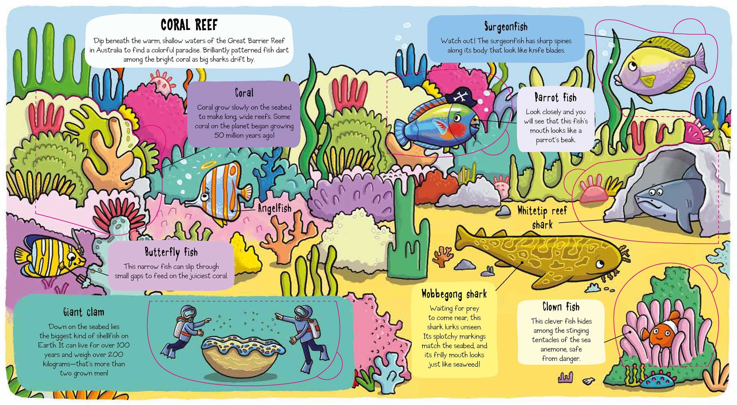 Little Explorers: Under the Sea | Book by Little Bee Books | Official ...