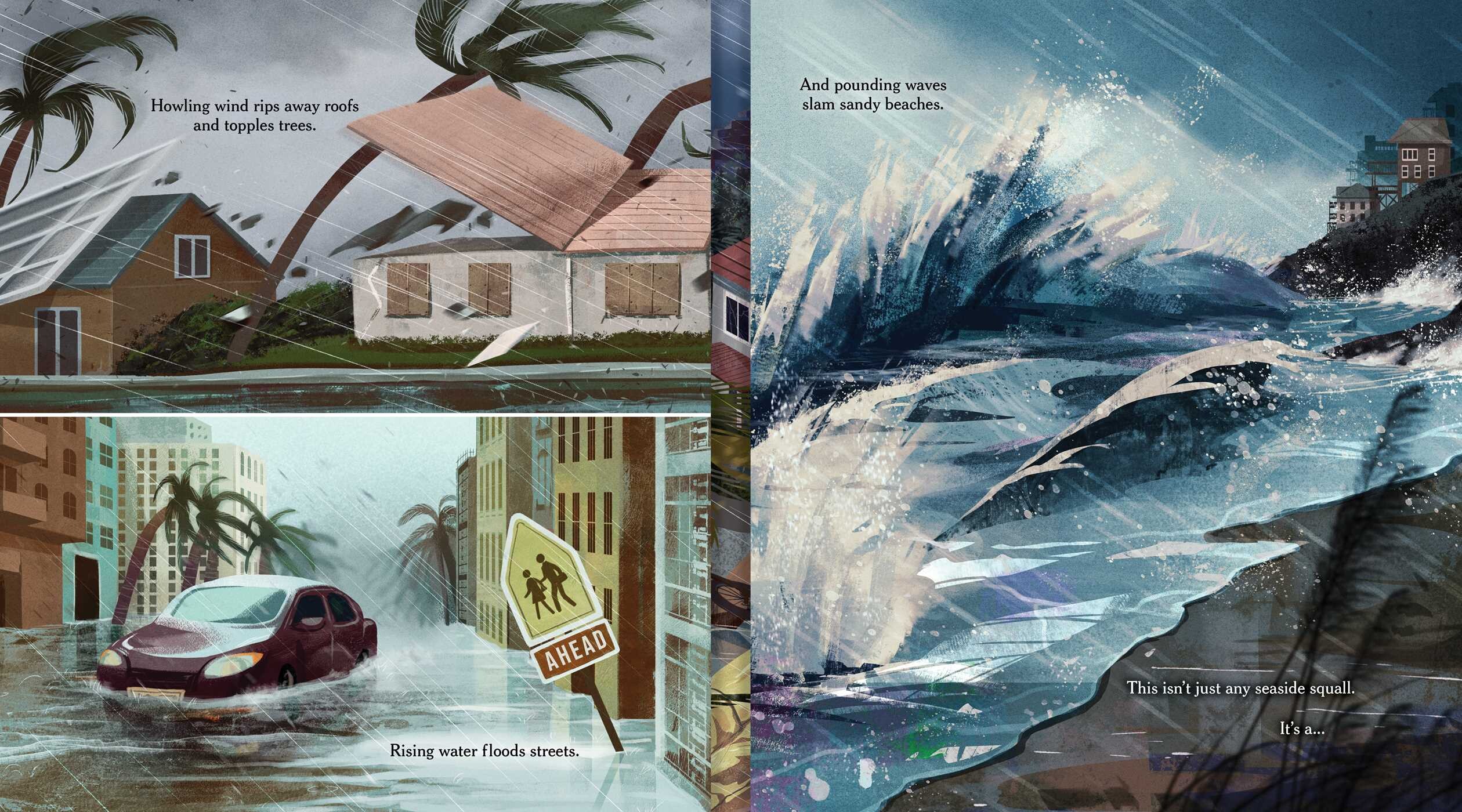 Before It Was a Hurricane | Book by Mary Kay Carson, Jieting Chen ...