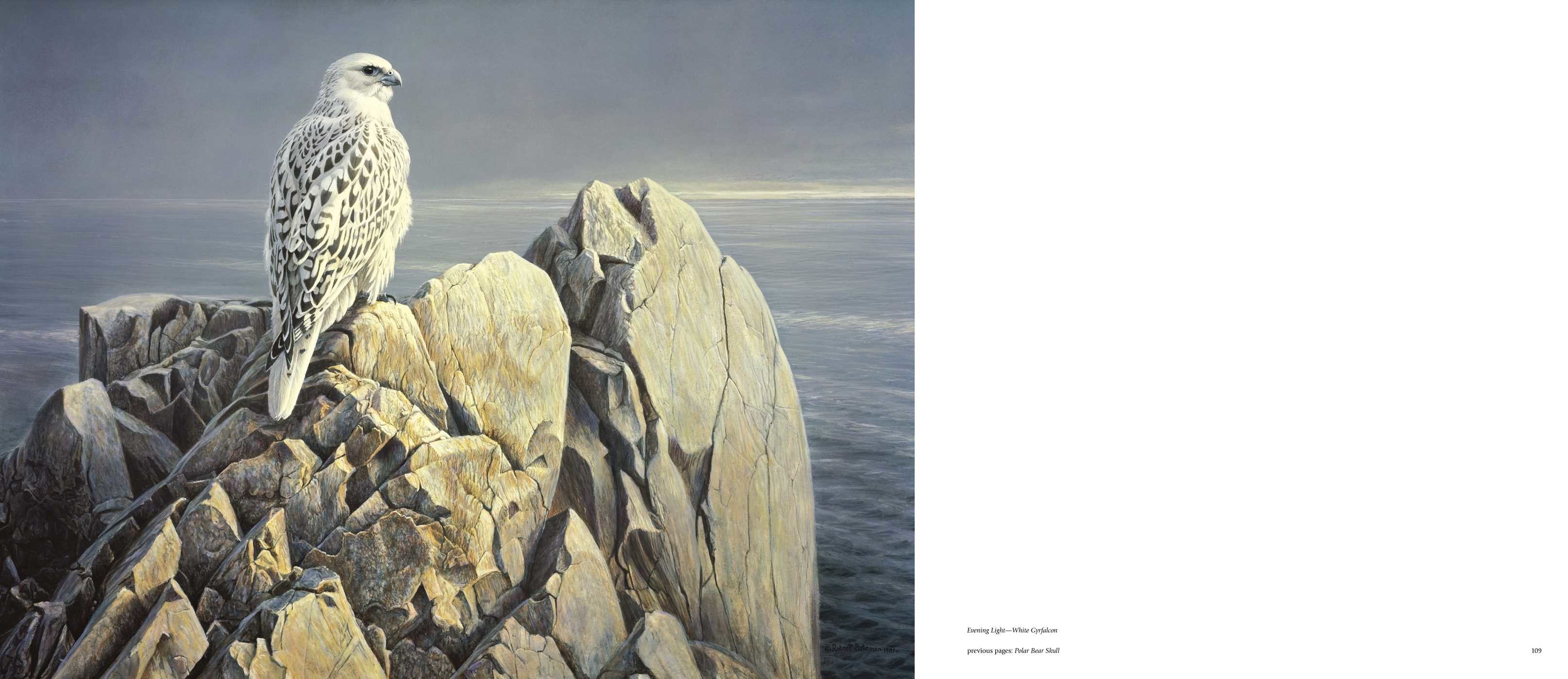 Robert Bateman's Canada | Book by Robert Bateman | Official Publisher ...