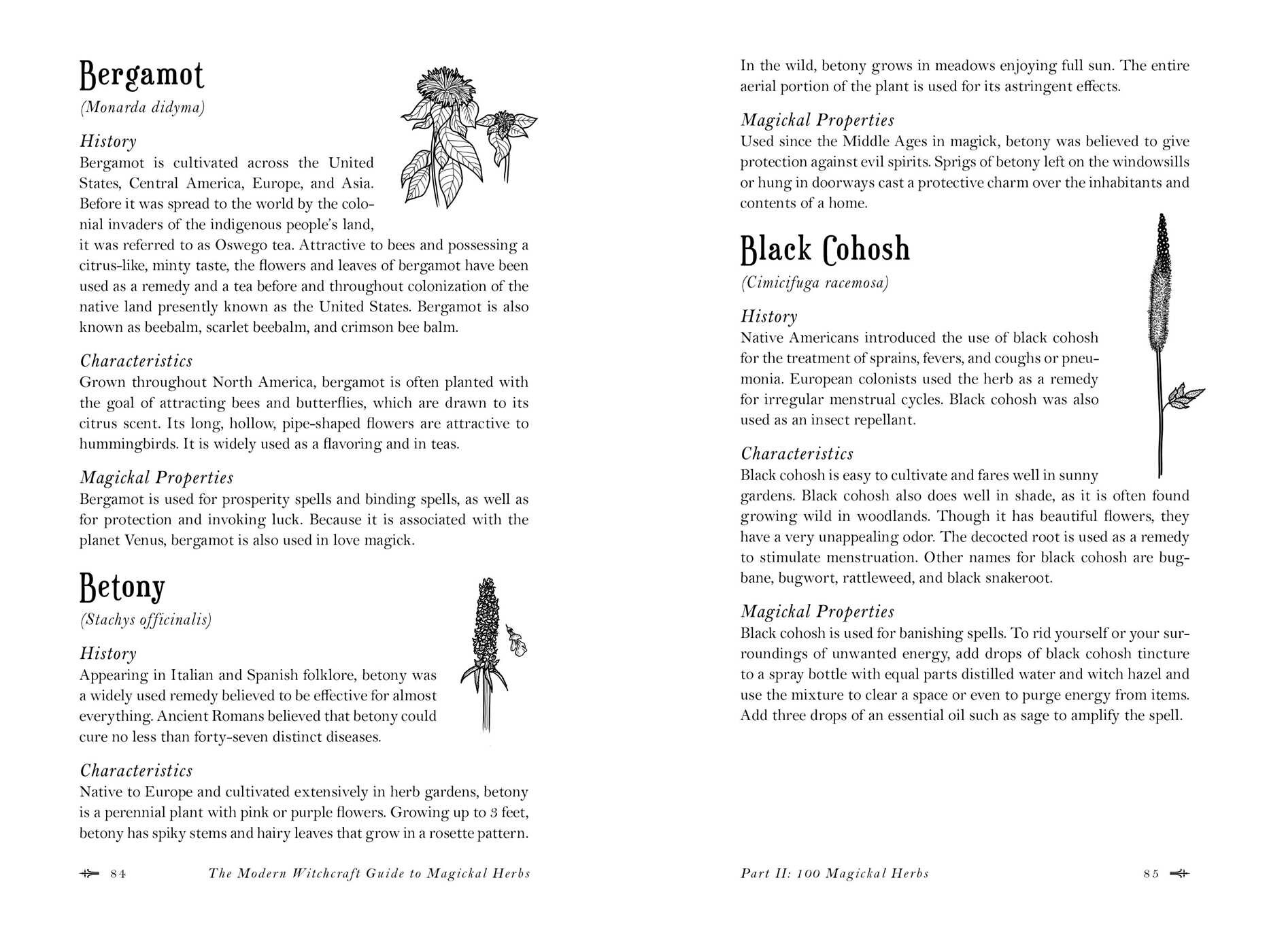 The Modern Witchcraft Guide To Magickal Herbs Book By Judy Ann Nock