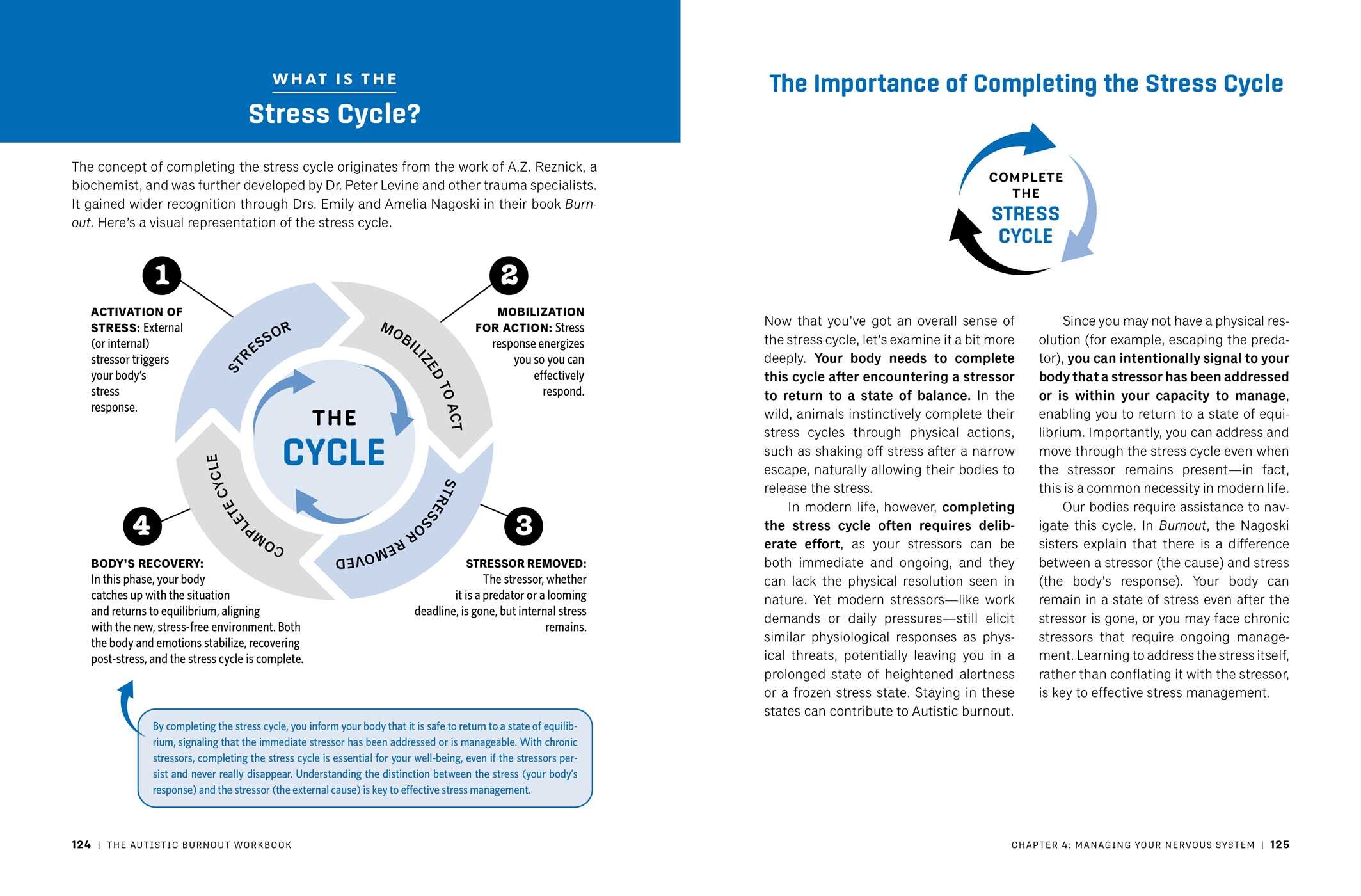 The Autistic Burnout Workbook | Book by Megan Anna Neff | Official ...