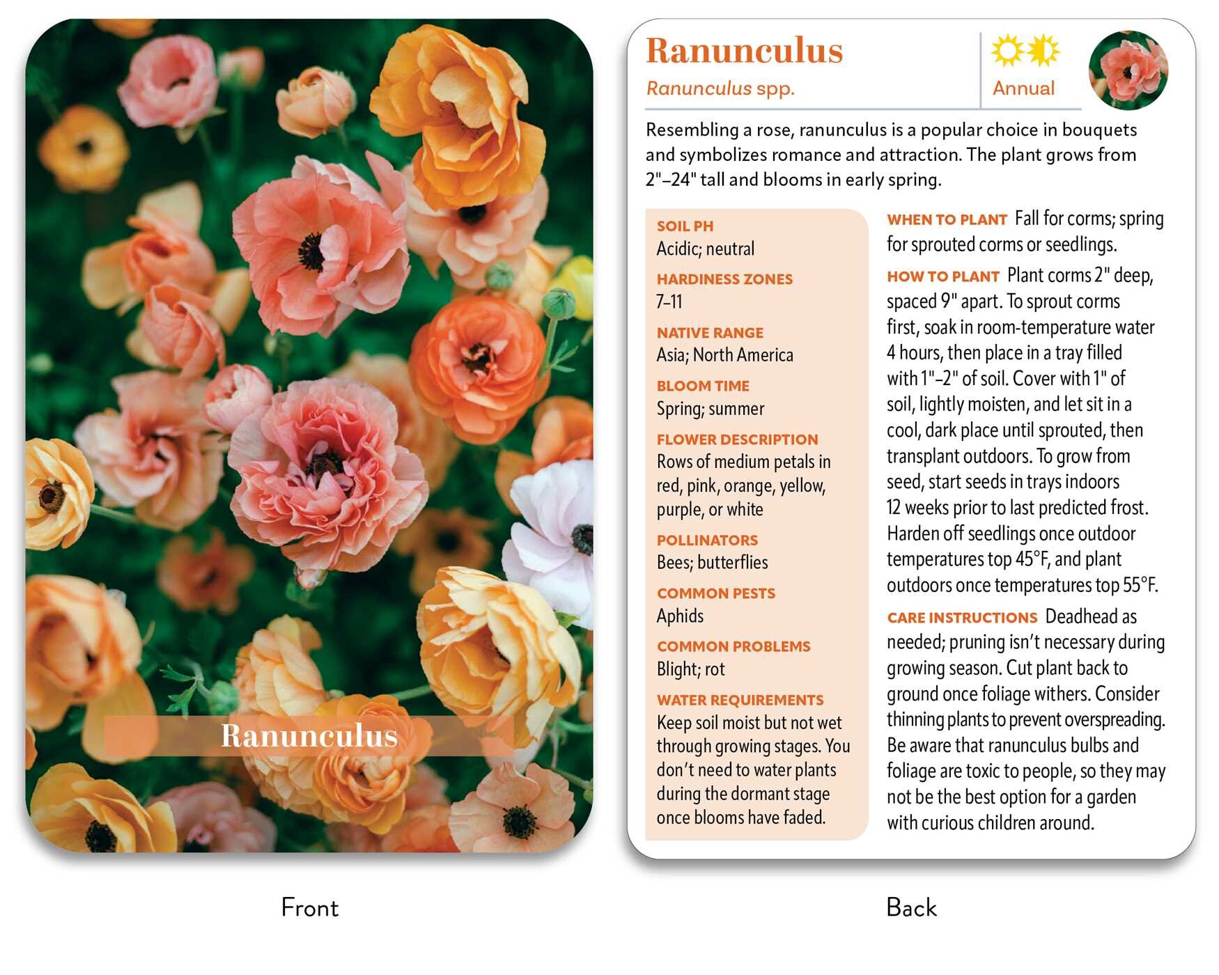 The Flower Garden Deck - Book Summary & Video | Official Publisher Page ...