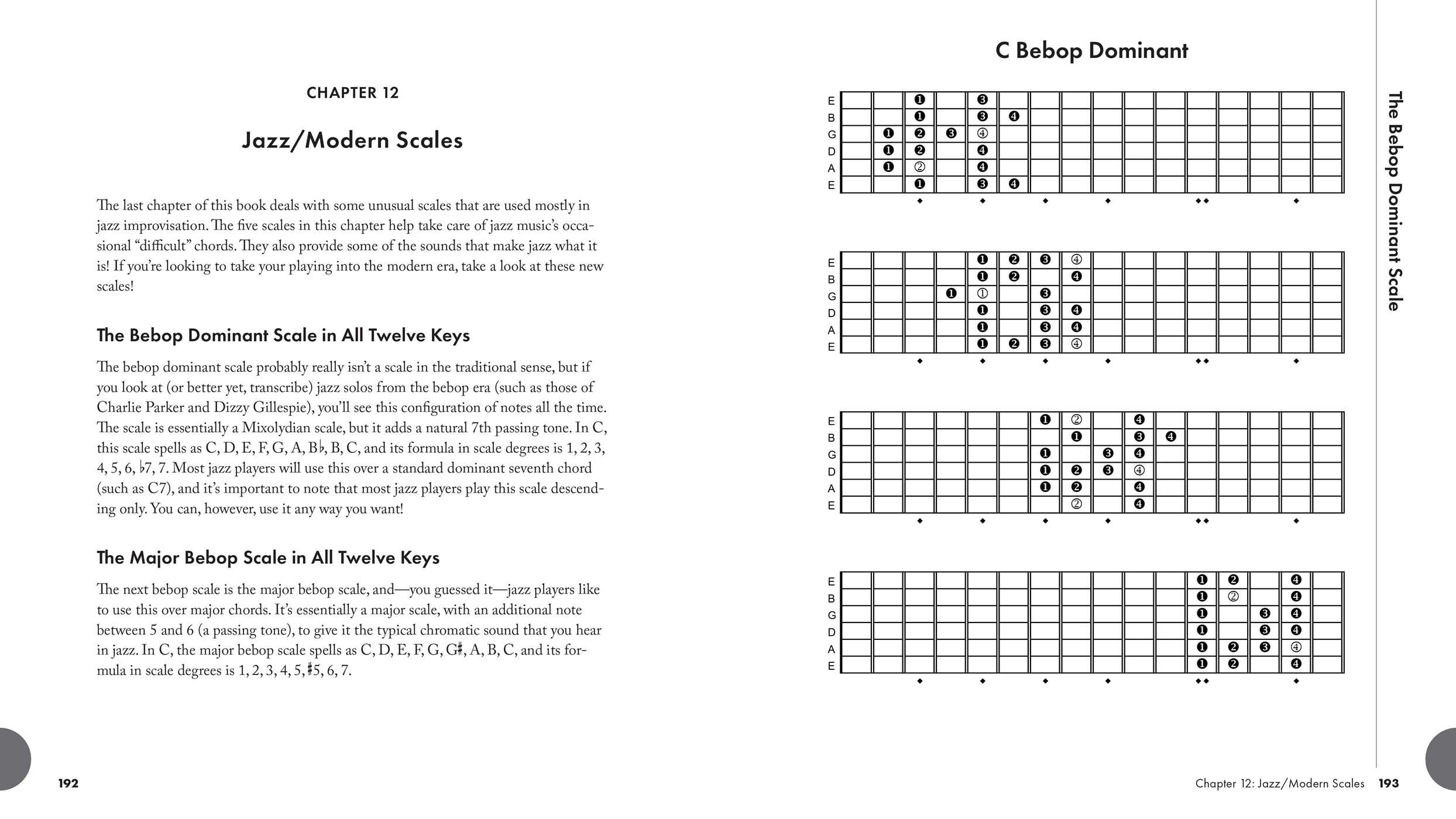 The Everything Guitar Scales Book, 2nd Edition | Book by Marc Schonbrun ...