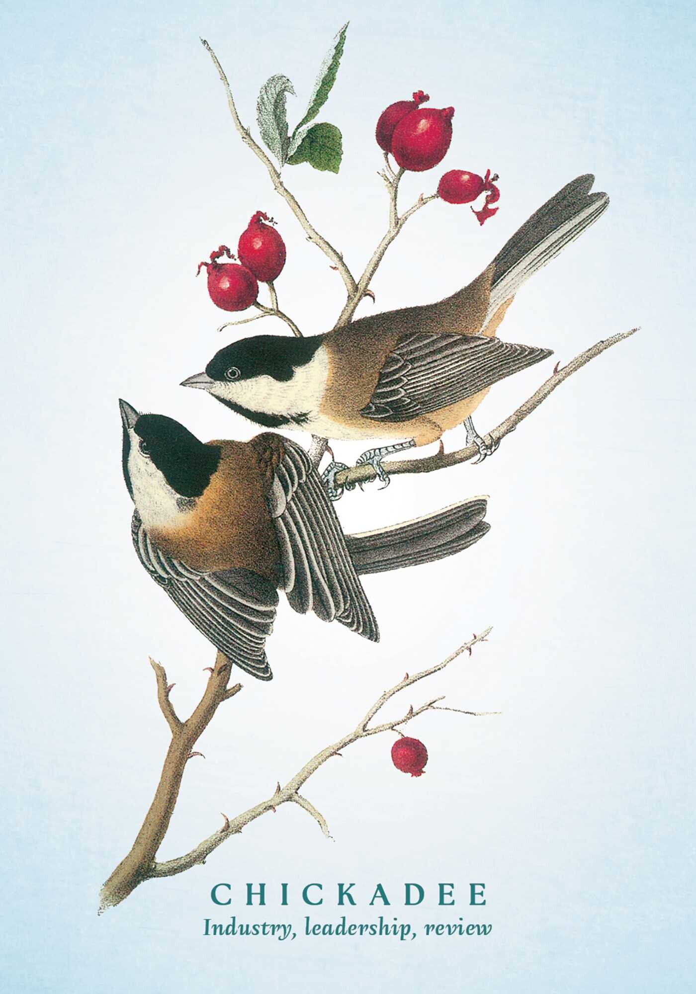 The Spiritual Meaning of Birds Oracle Deck - Book Summary & Video ...