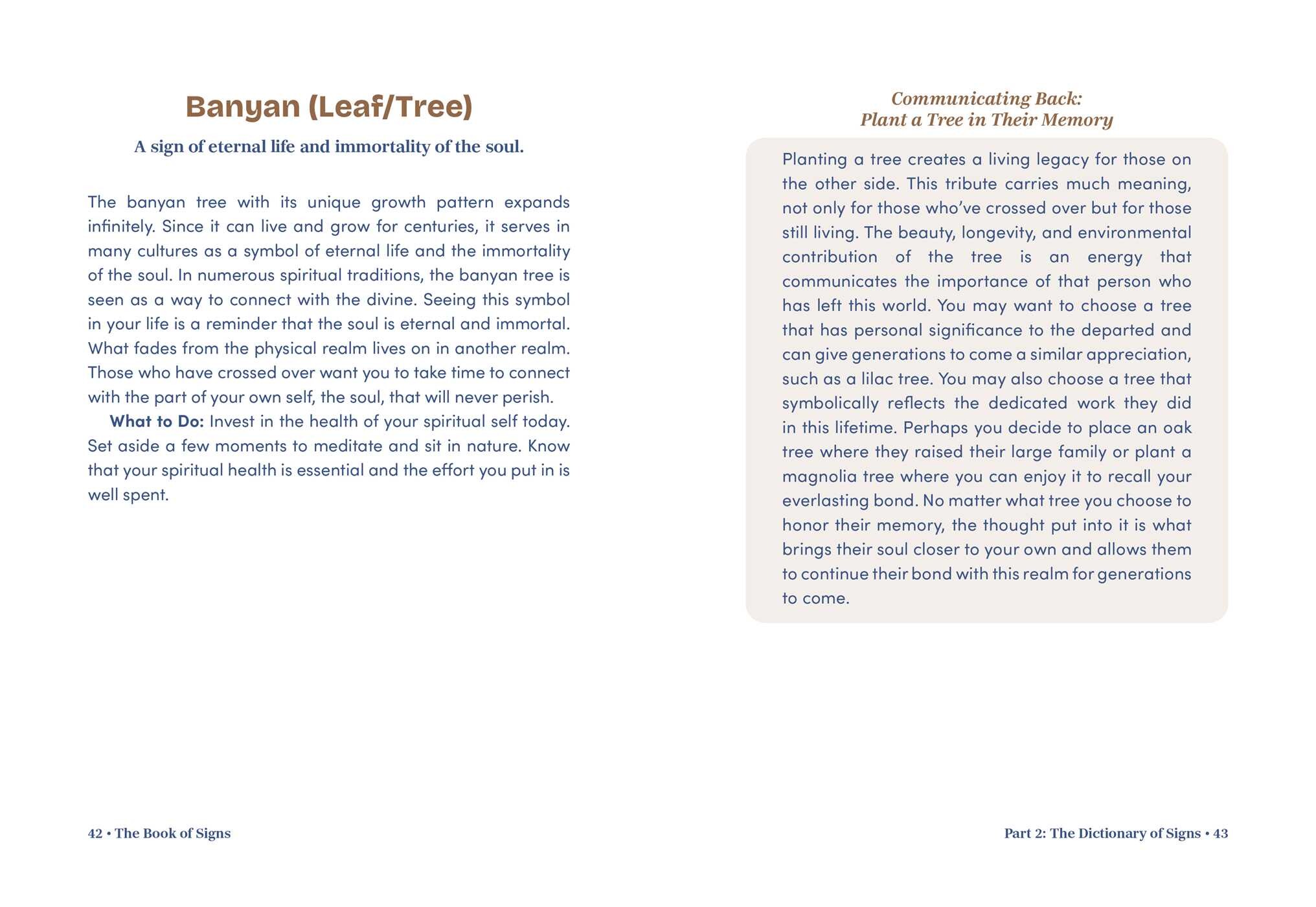 The Book of Signs | Book by Mystic Michaela | Official Publisher Page ...