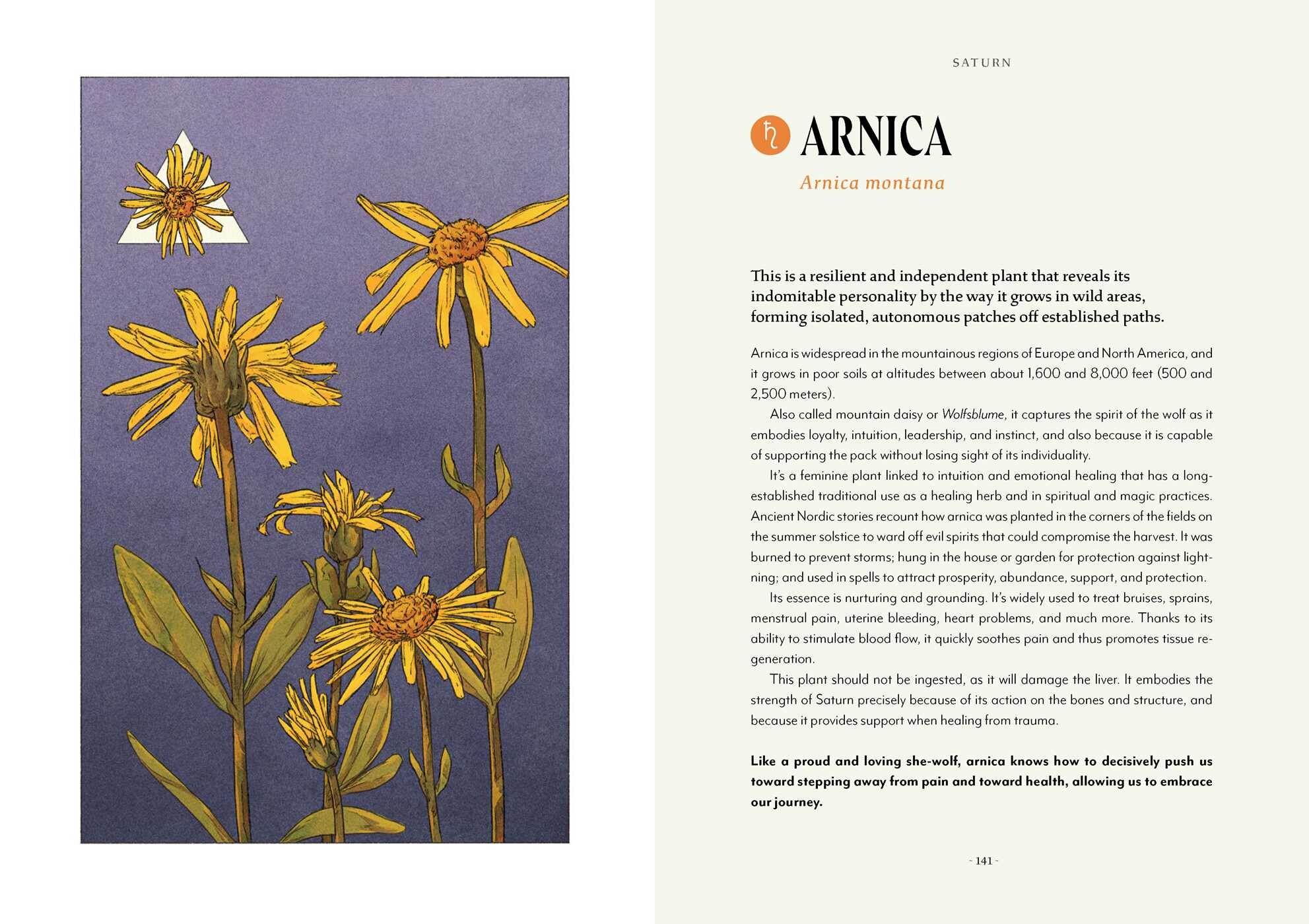 Plant Magic | Book by Anastasia Mostacci | Official Publisher Page ...
