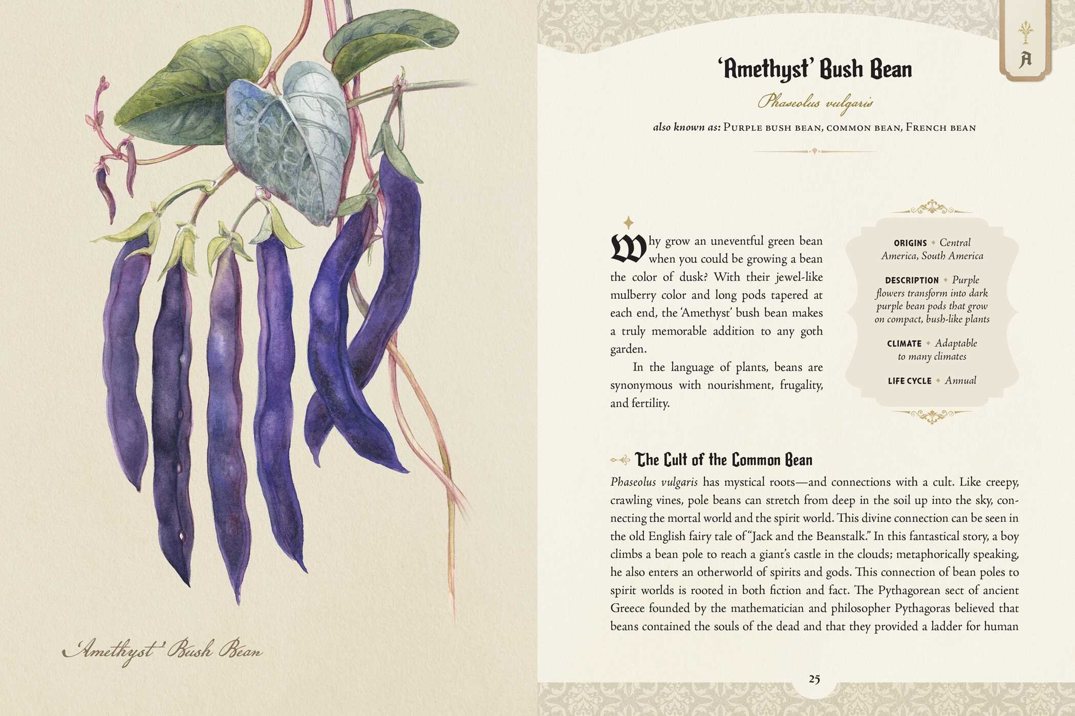 The Goth Garden | Book by Felicia Feaster | Official Publisher Page ...