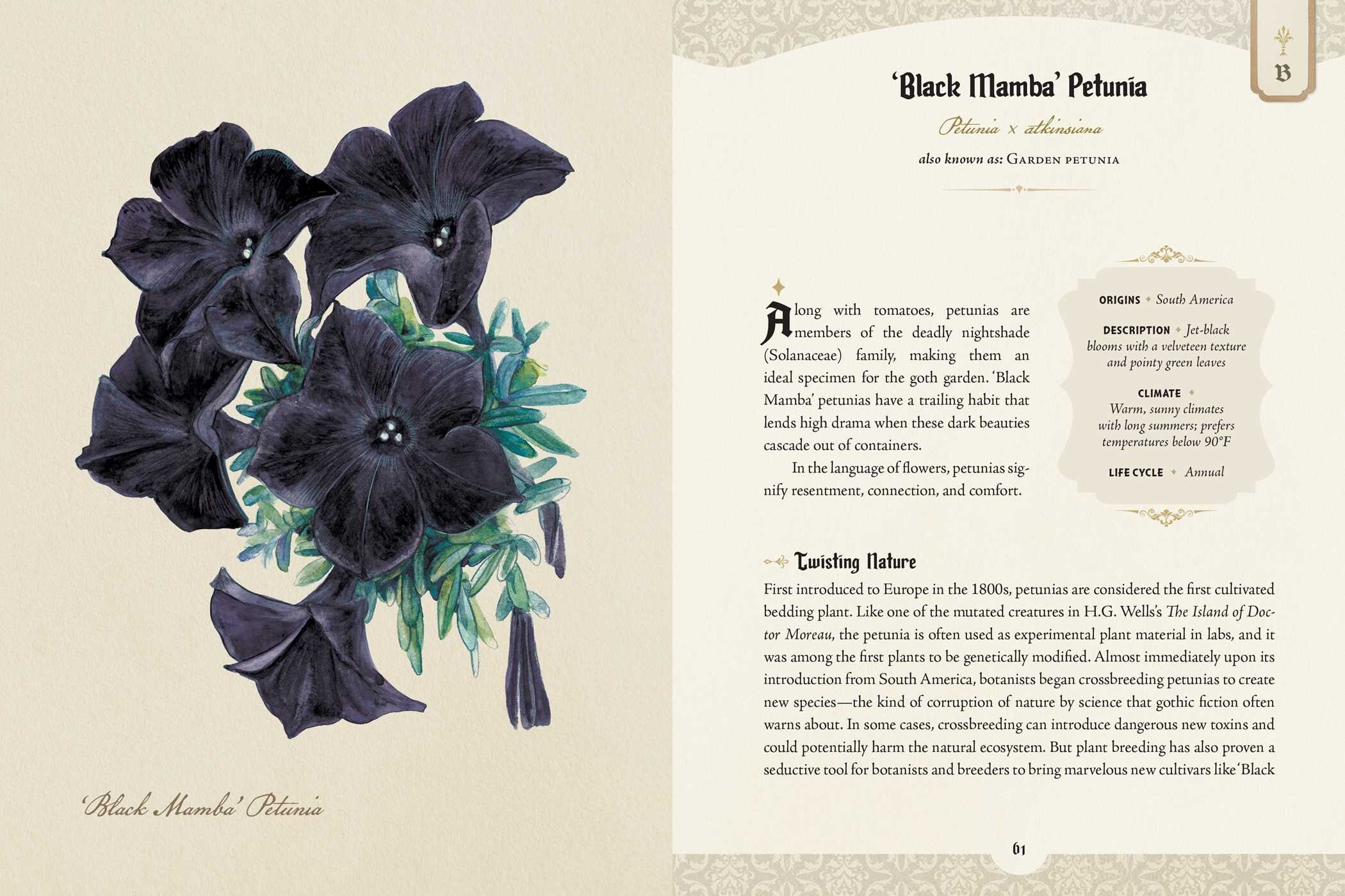 The Goth Garden | Book by Felicia Feaster | Official Publisher Page ...