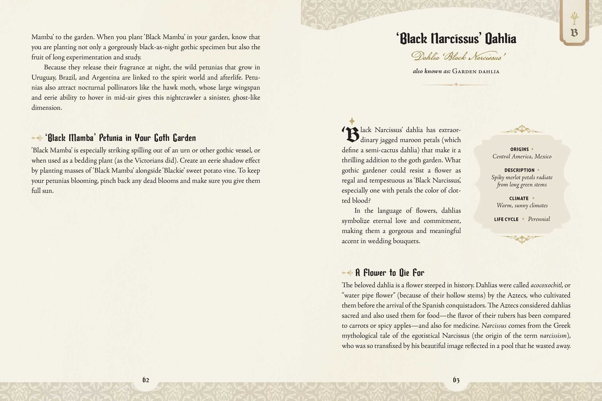 The Goth Garden | Book by Felicia Feaster | Official Publisher Page ...