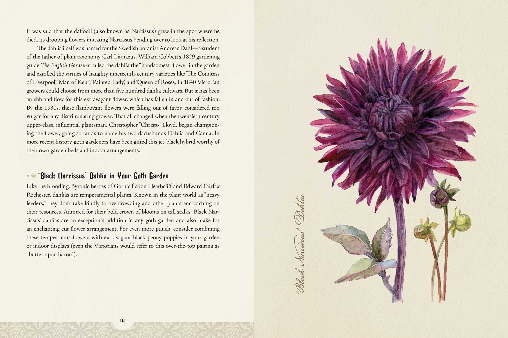 The Goth Garden | Book by Felicia Feaster | Official Publisher Page ...