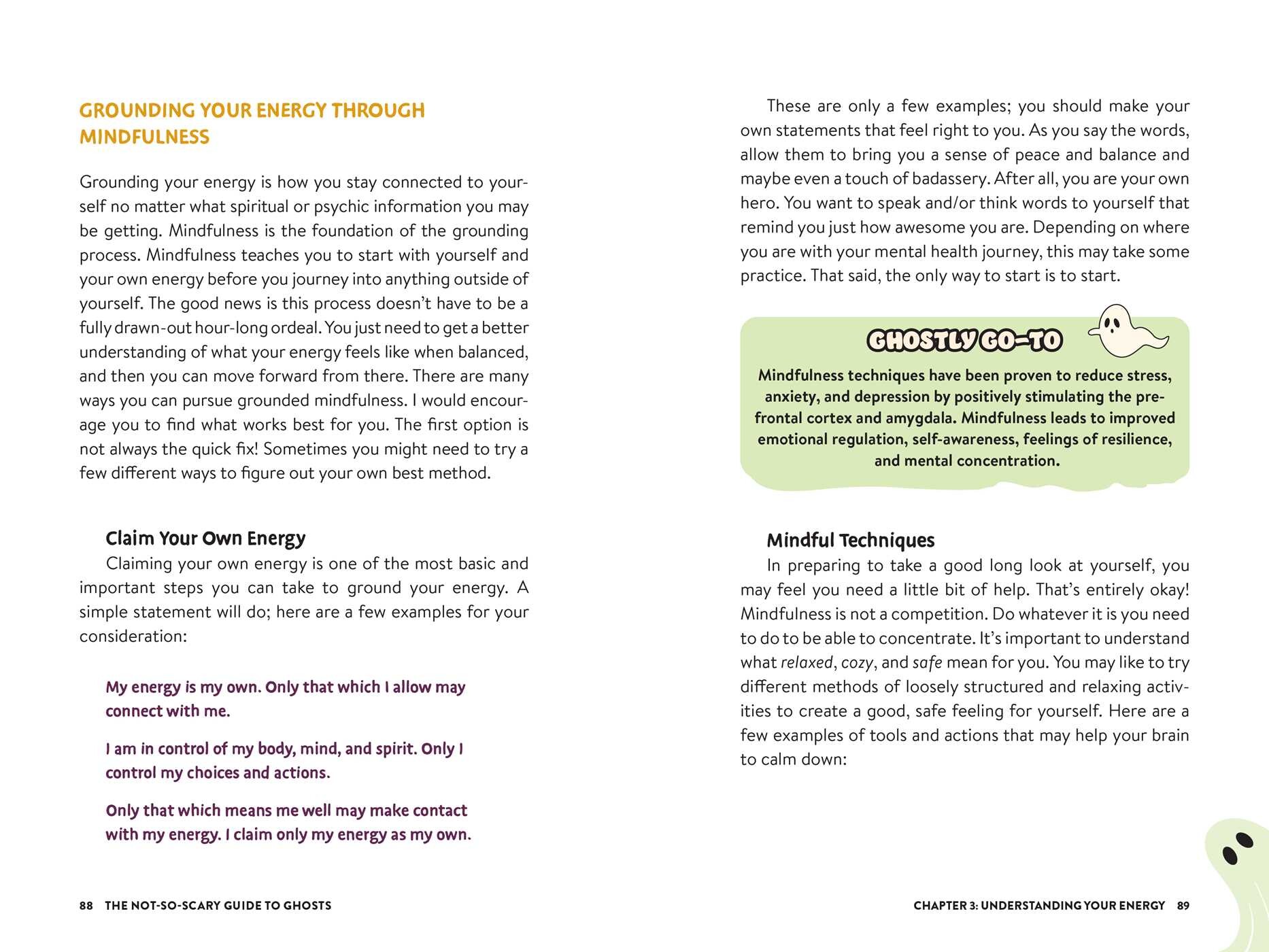 The Not-So-Scary Guide to Ghosts | Book by Rebekah Carmichael ...